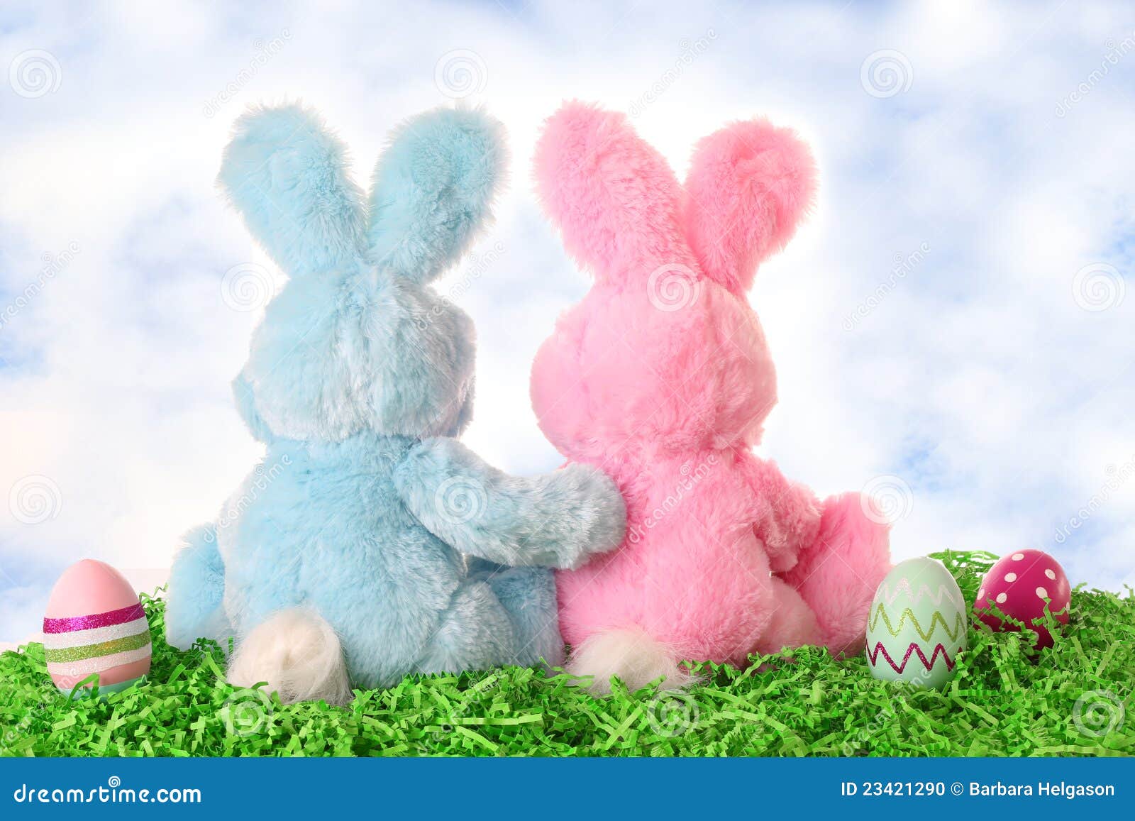 Easter bunnies stock photo. Image of outside, green, gaze - 23421290