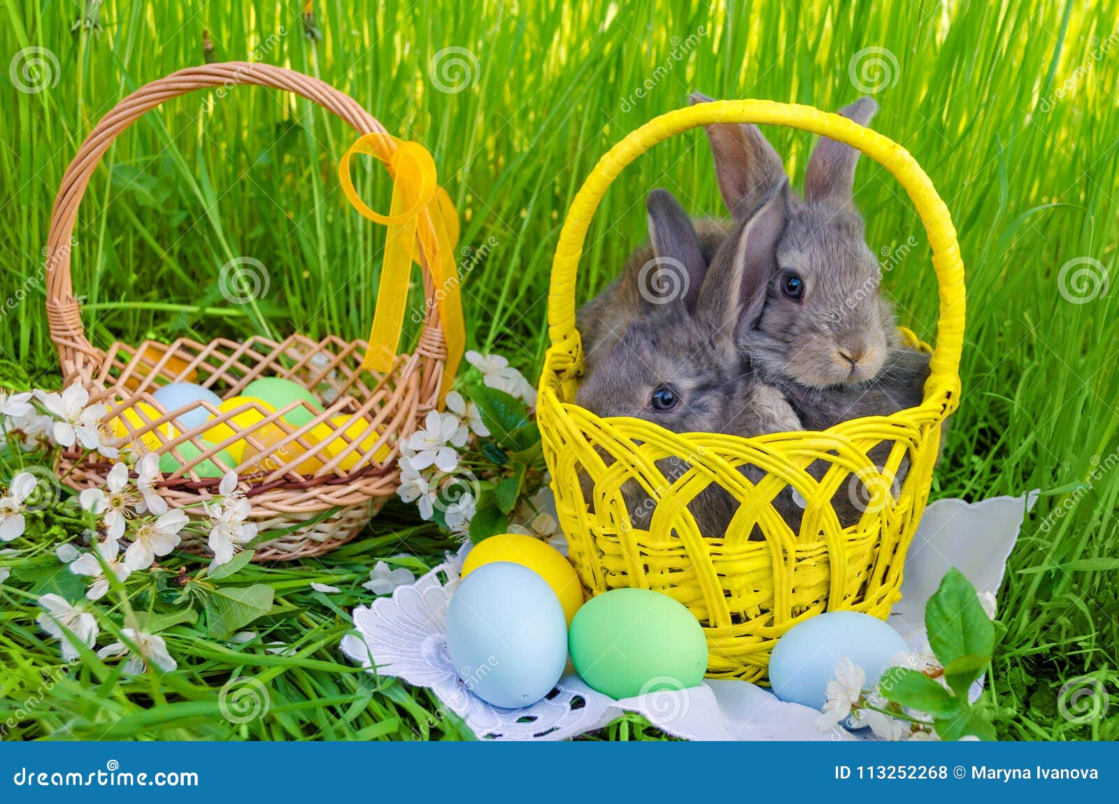 Easter Bunnies in Easter Basket with Easter Colored Eggs Stock Photo ...
