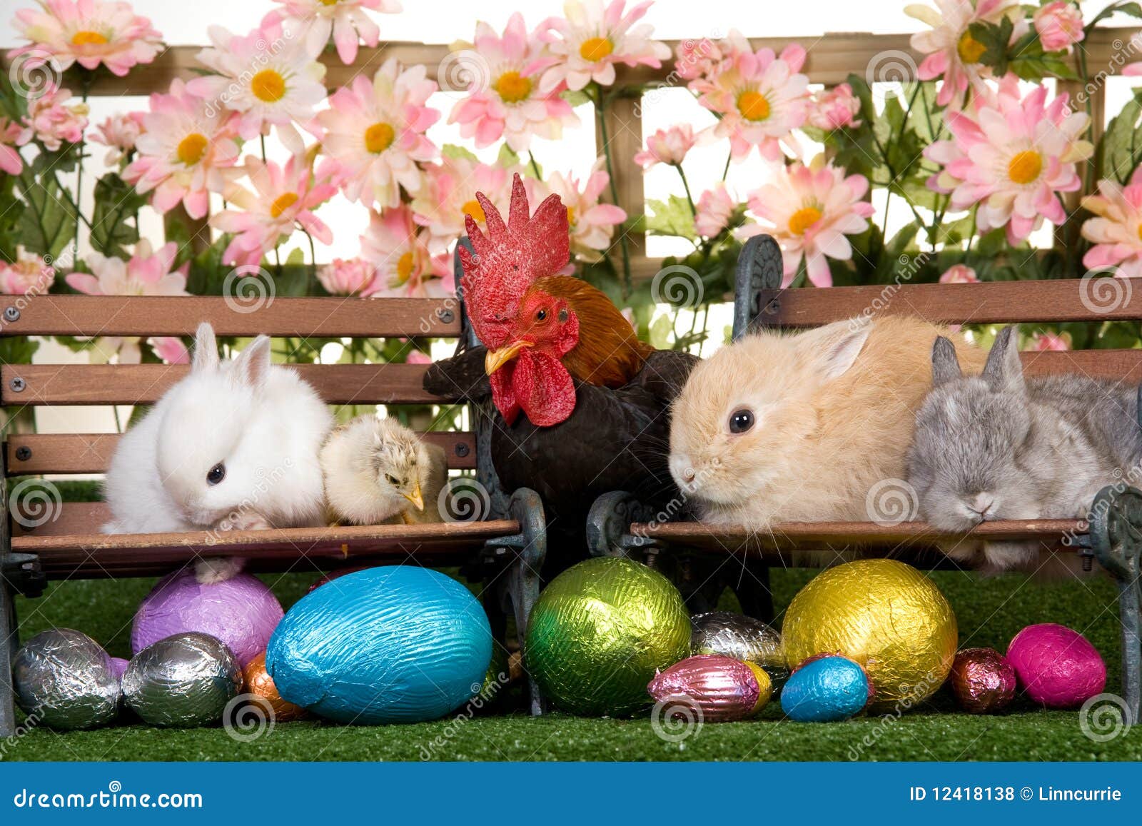 Easter bunnies and rooster stock photo. Image of rooster - 12418138