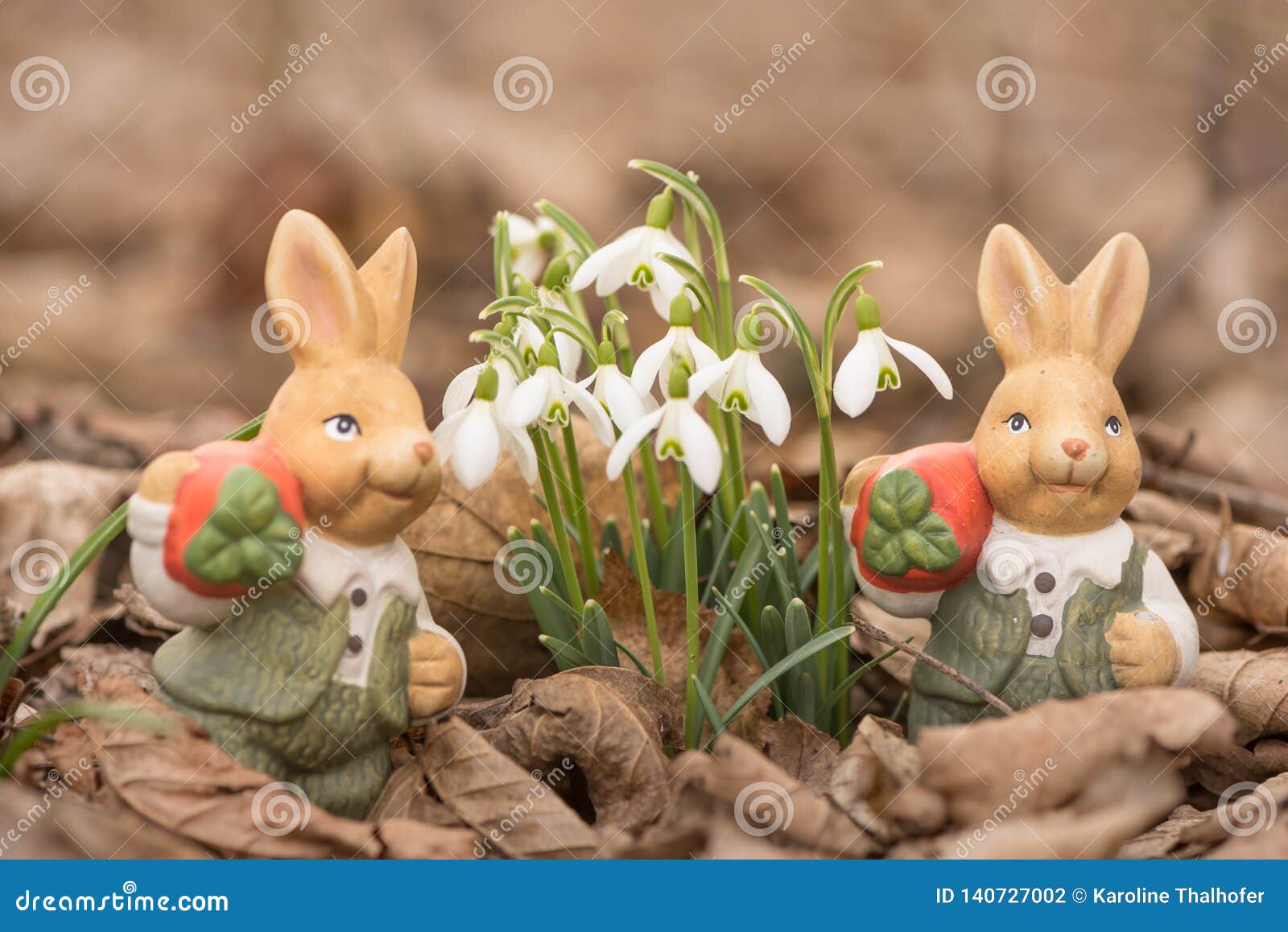 Easter Bunnies in Spring Leaves Next To Snowdrops Stock Photo - Image ...
