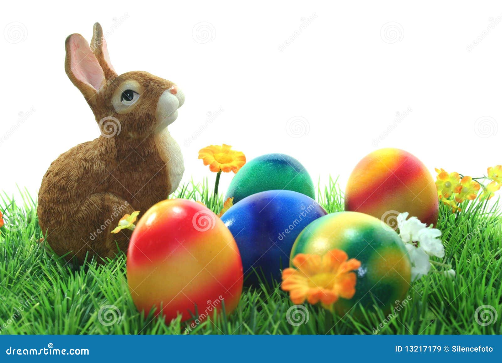 Easter Bunny stock image. Image of grass, sweet, custom - 13217179