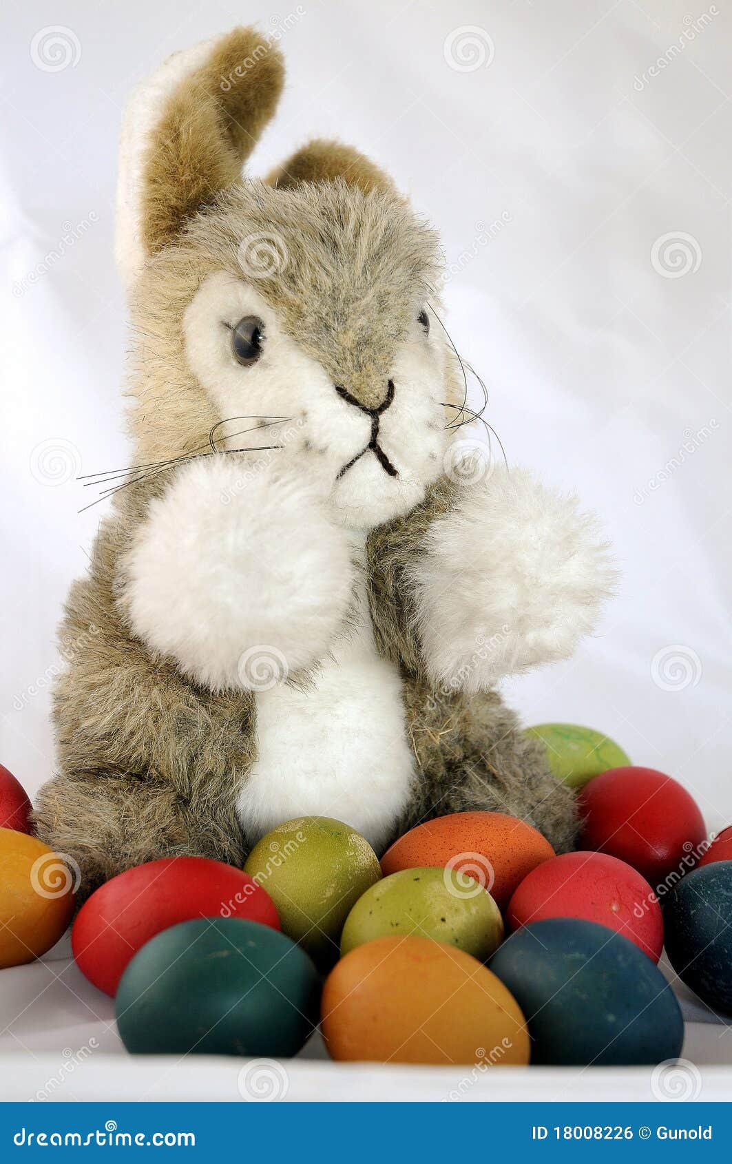 Easter bunny stock photo. Image of symbol, isolated, animal - 18008226