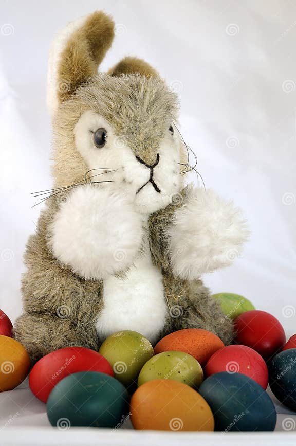 Easter bunny stock photo. Image of symbol, isolated, animal - 18008226