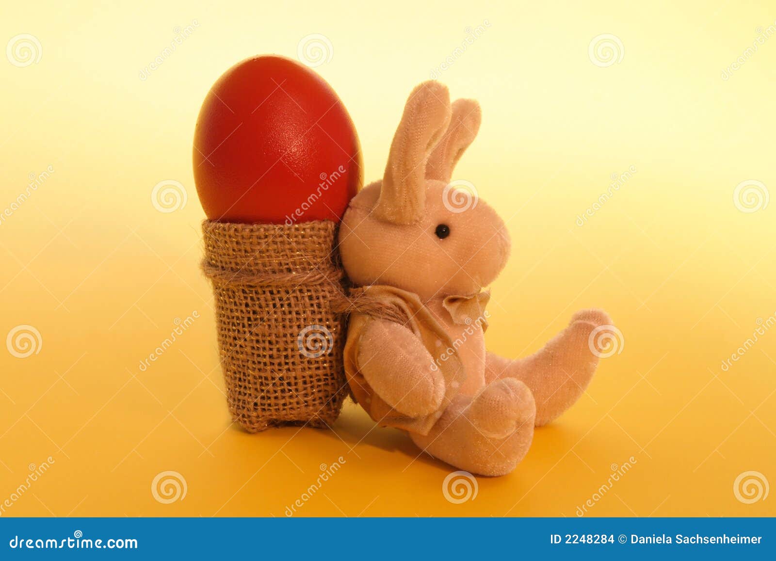 Easter bunny stock photo. Image of season, little, animal - 2248284