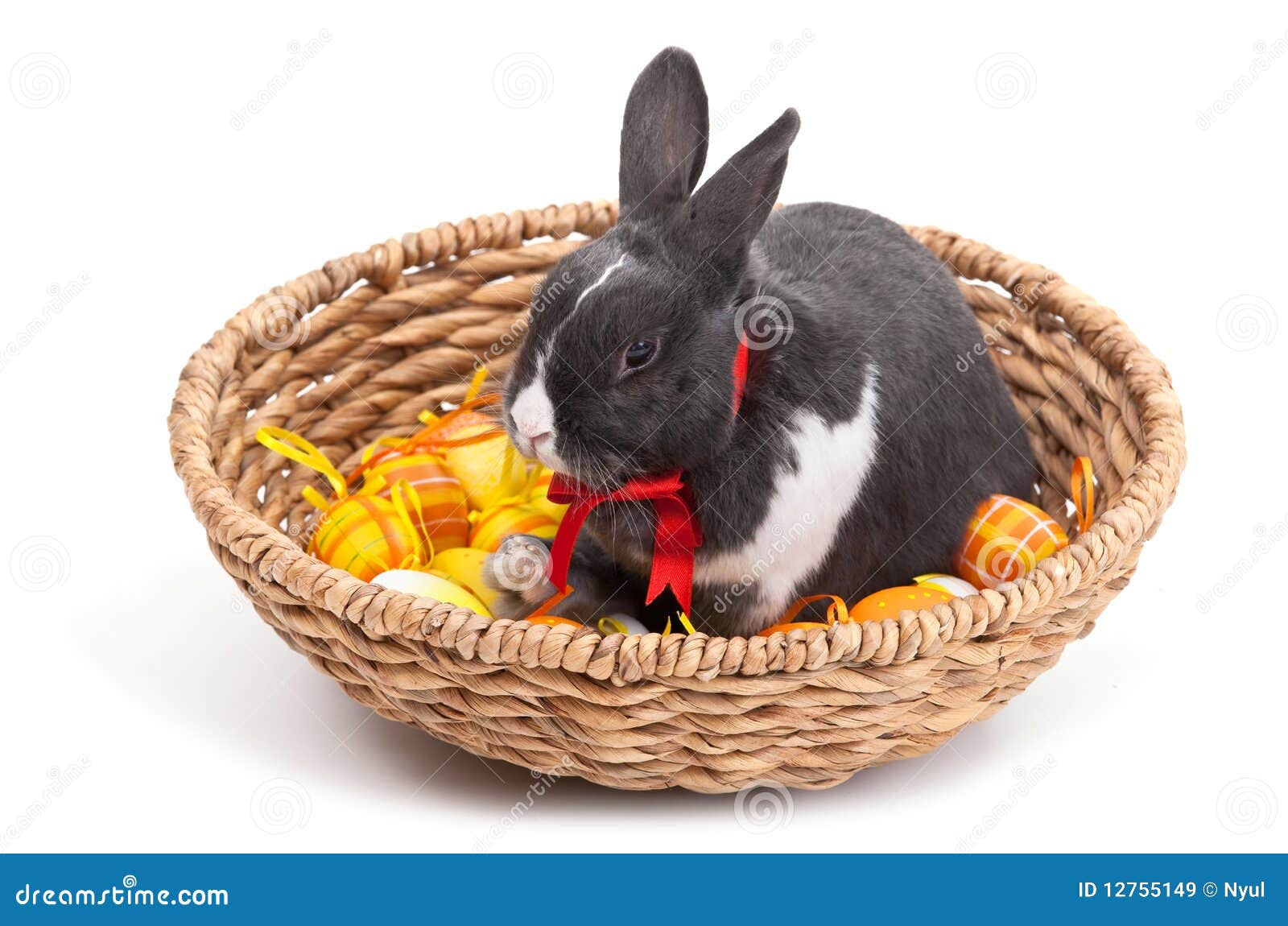 Easter Bunny in Basket Isolated on White Stock Image - Image of holiday ...