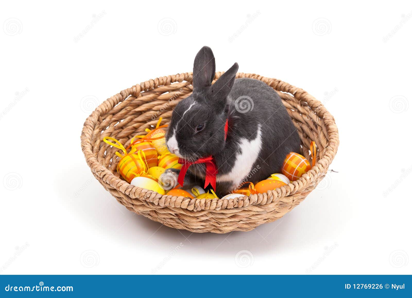 Easter Bunny in Basket Isolated on White Stock Photo - Image of gray ...