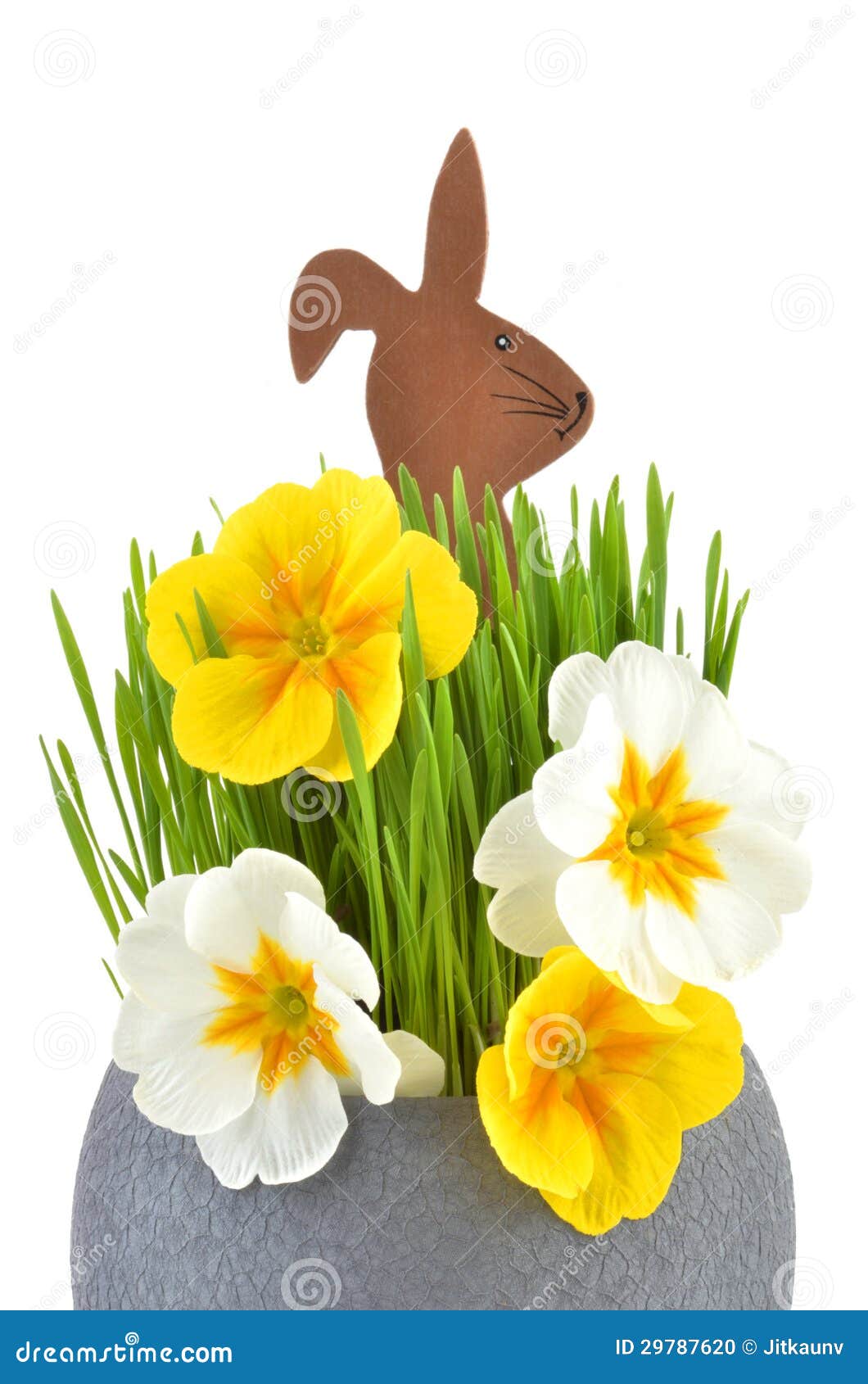 Easter Bunny and Spring Flower Stock Photo - Image of yellow, flower ...