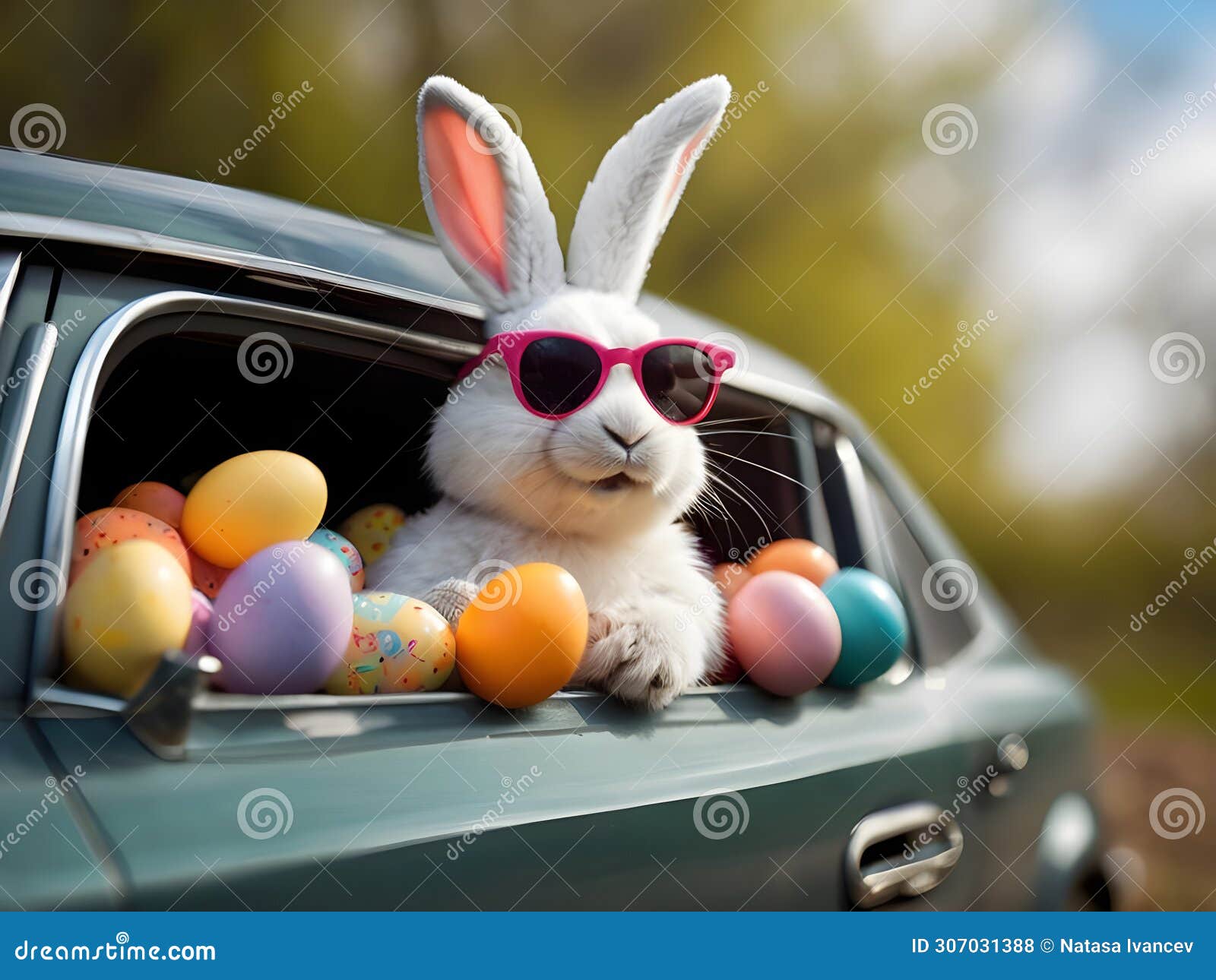 Easter Bunny in a Car Delivering Easter Eggs Stock Illustration ...