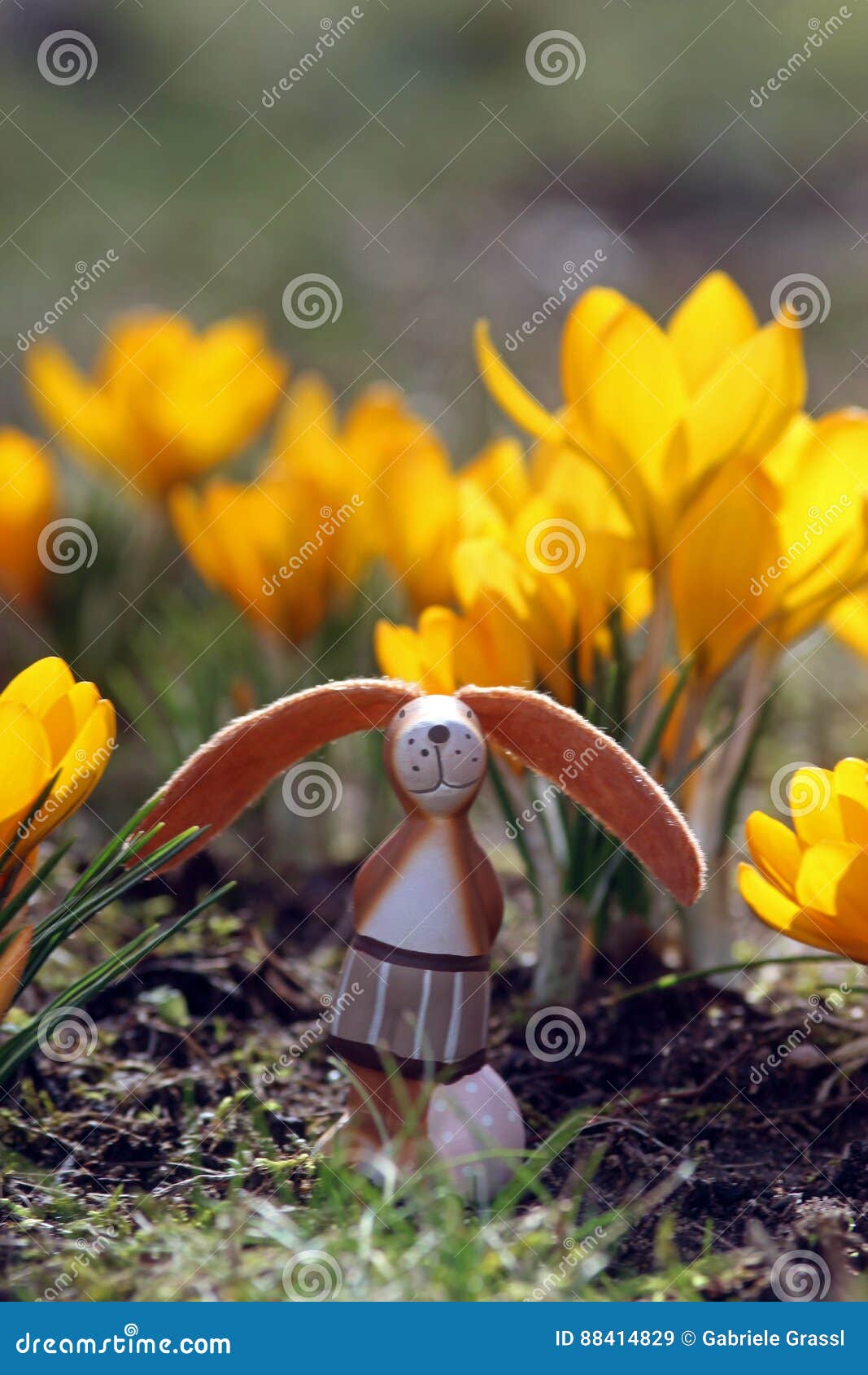Easter Bunny Crocuses Vertical Stock Image - Image of little ...
