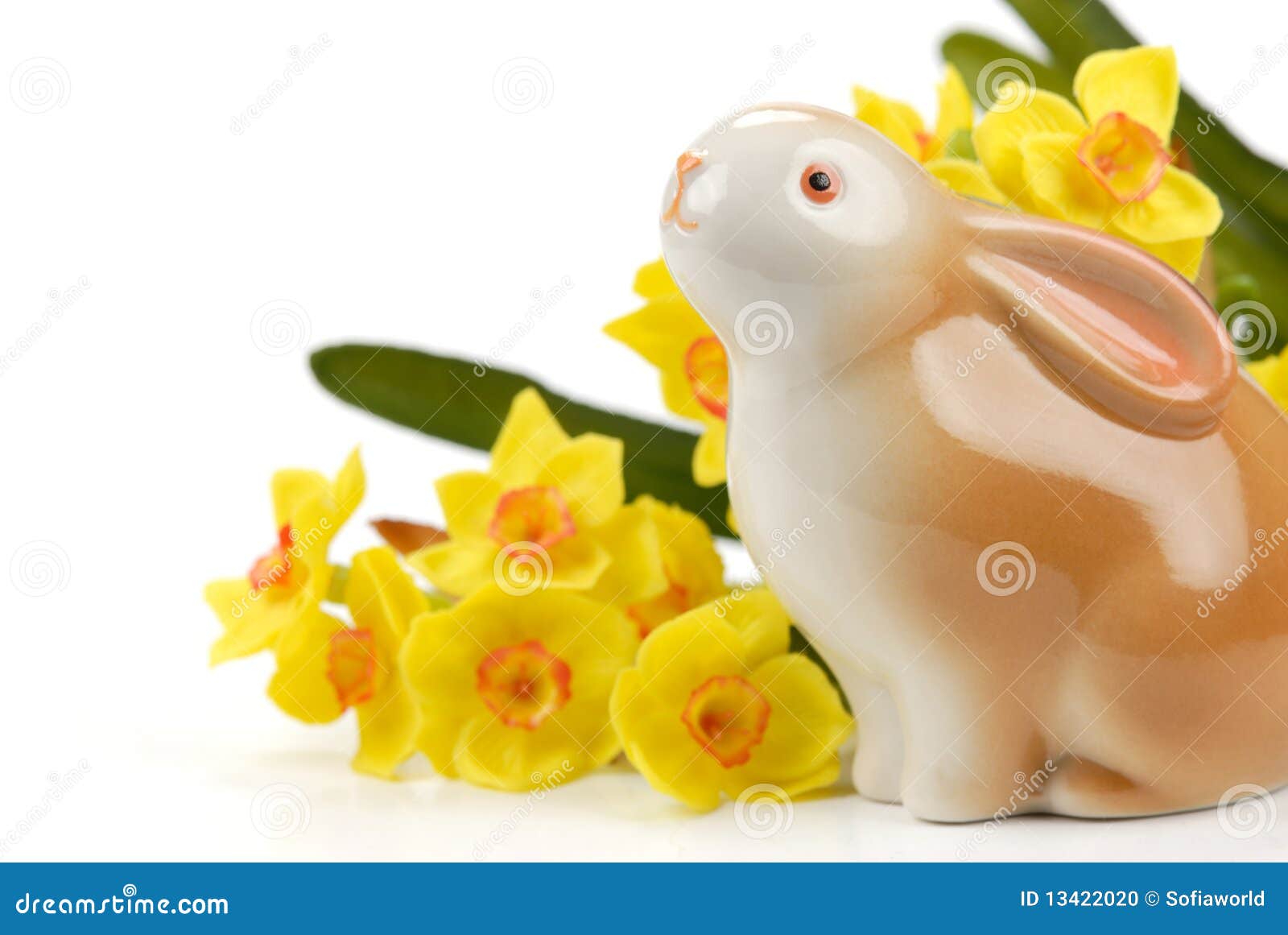 Easter bunny and daffodil stock photo. Image of daffodil - 13422020