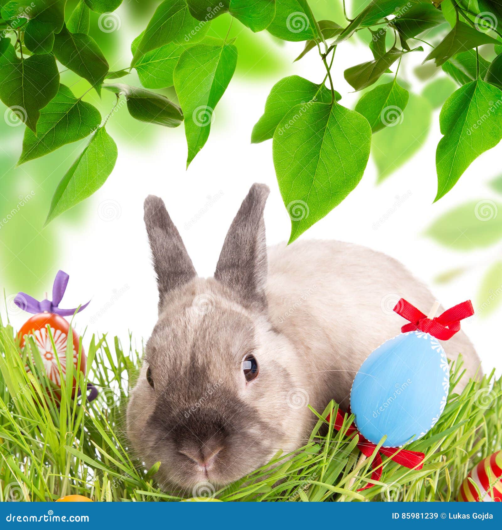 Easter Bunny and Easter Eggs on Green Grass Stock Image - Image of ...