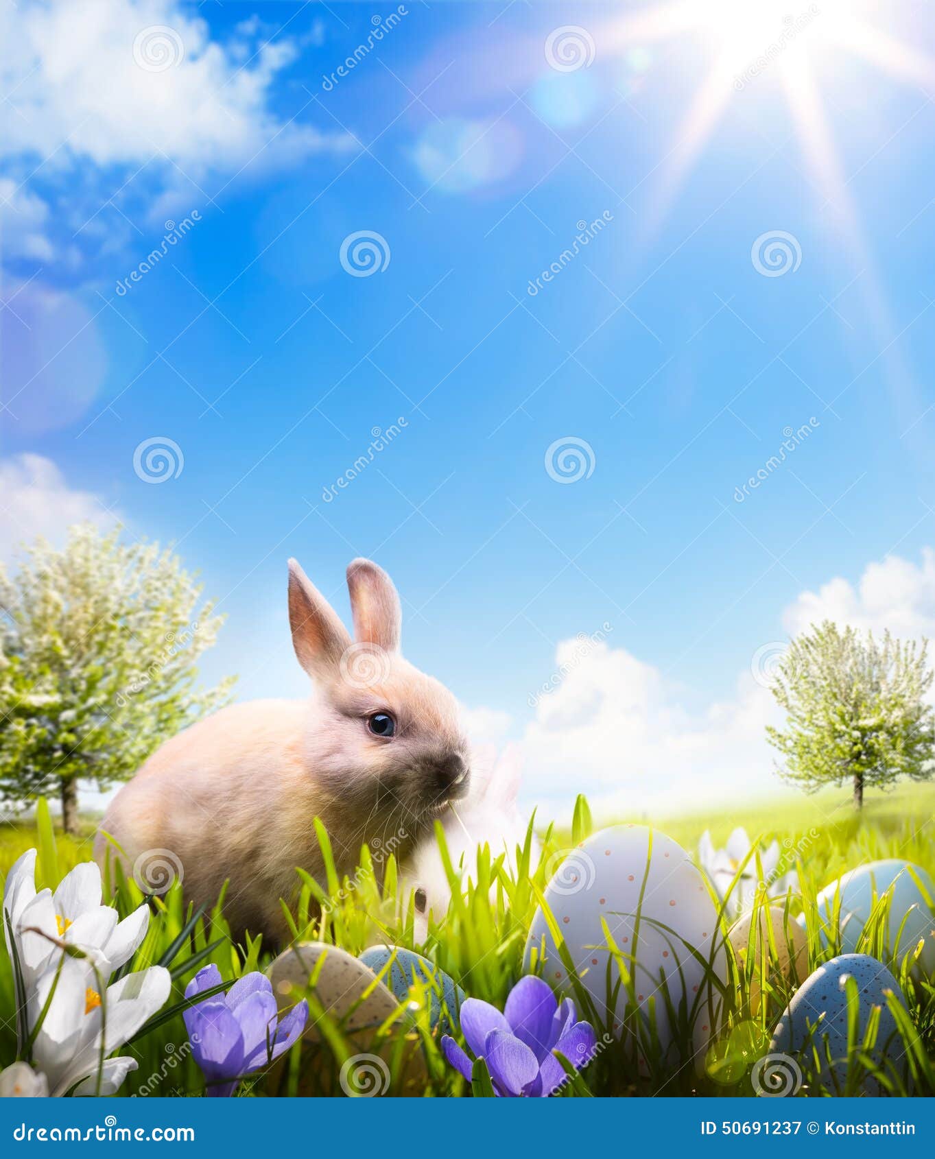 Easter Bunny and Easter Eggs on Spring Field Stock Image - Image of ...