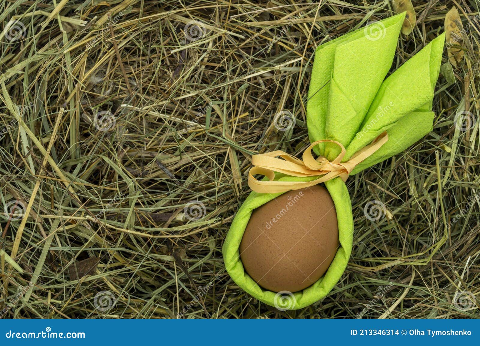 Easter Bunny Egg on Grass Texture Close-up Copy Space Stock Photo - Image of nature, april ...