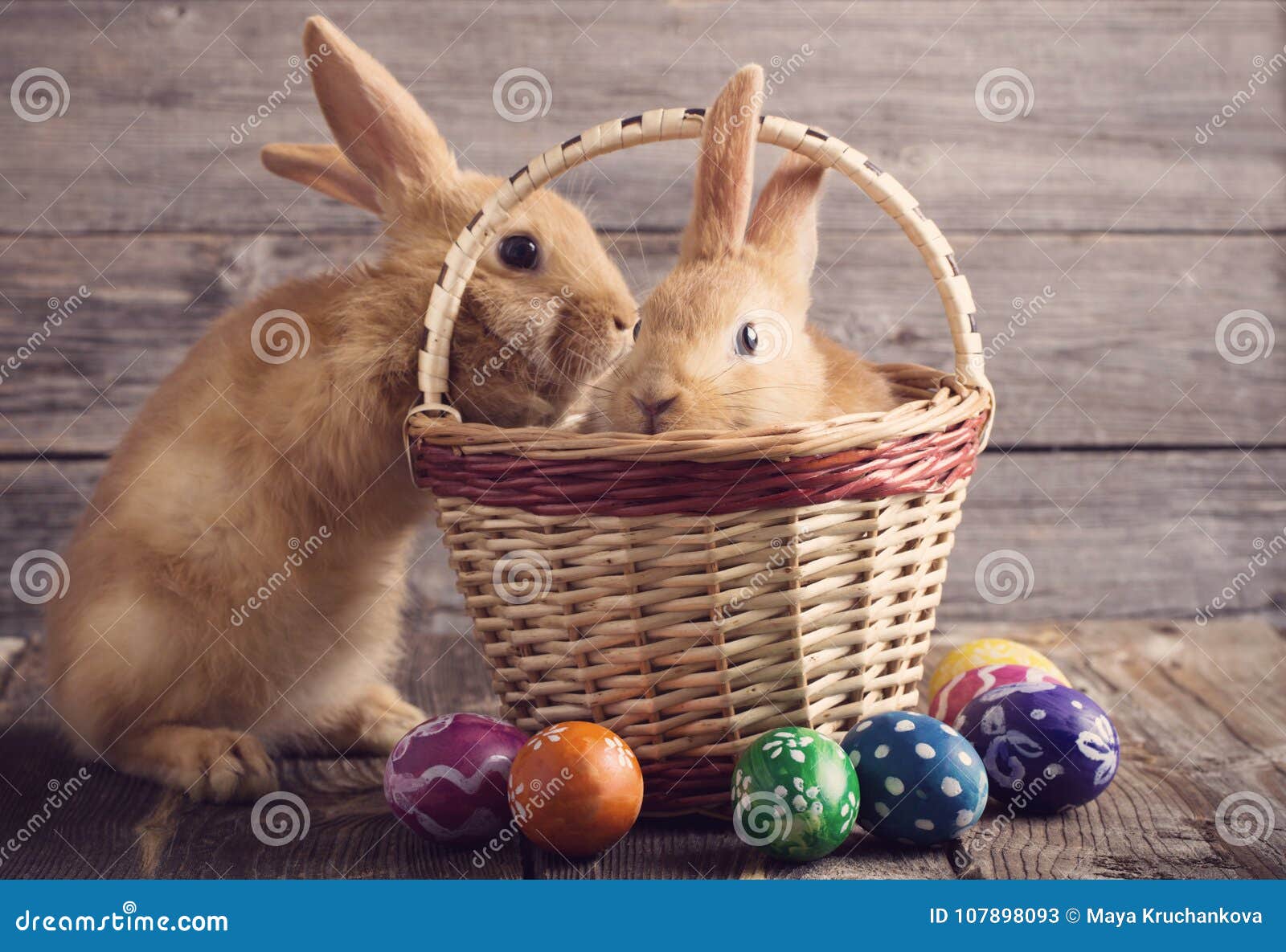 Easter bunny with eggs stock image. Image of paint, funny - 107898093