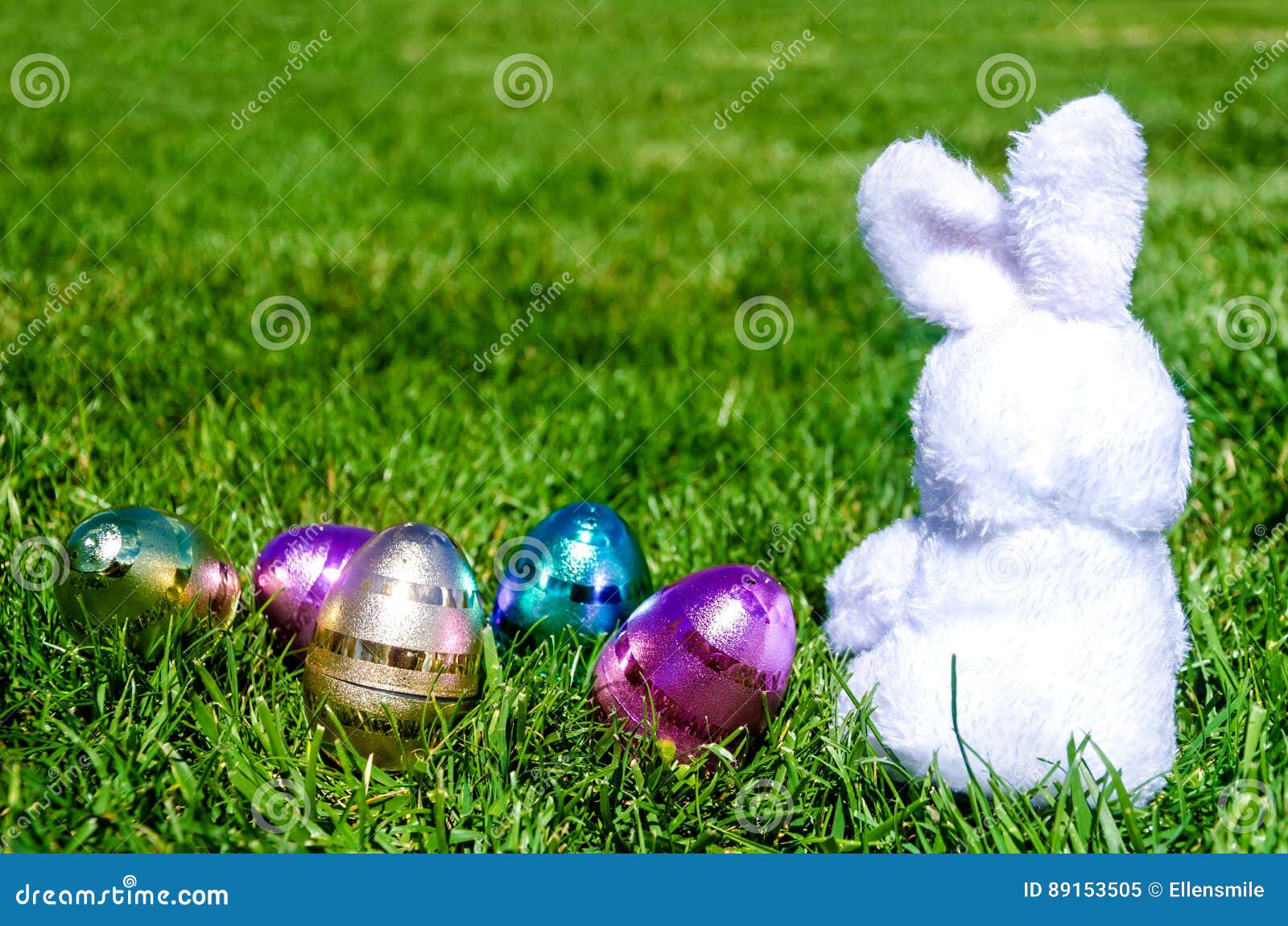 Easter Bunny with Eggs in Field Stock Image - Image of outside, space ...