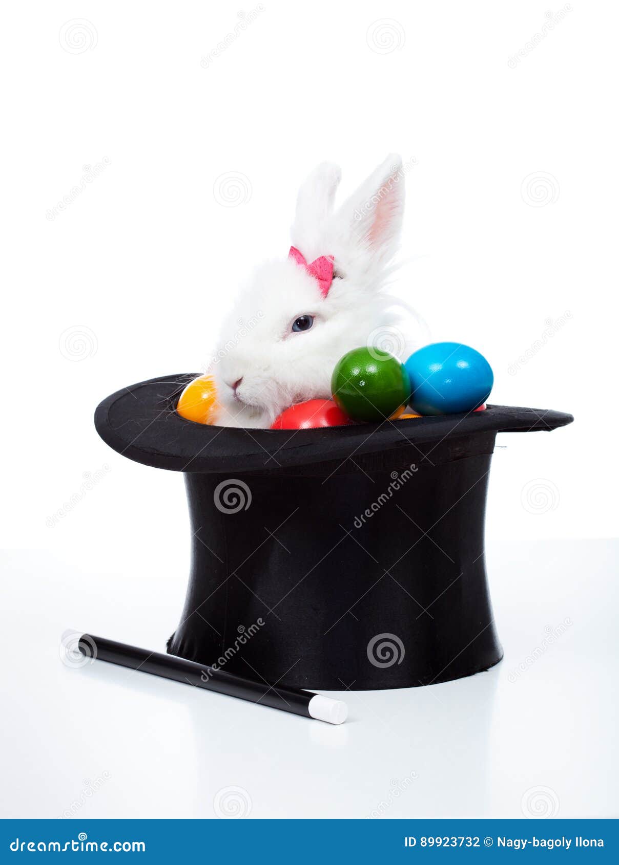 Easter Bunny with Eggs in a Magician Hat - Isolated Stock Photo - Image ...