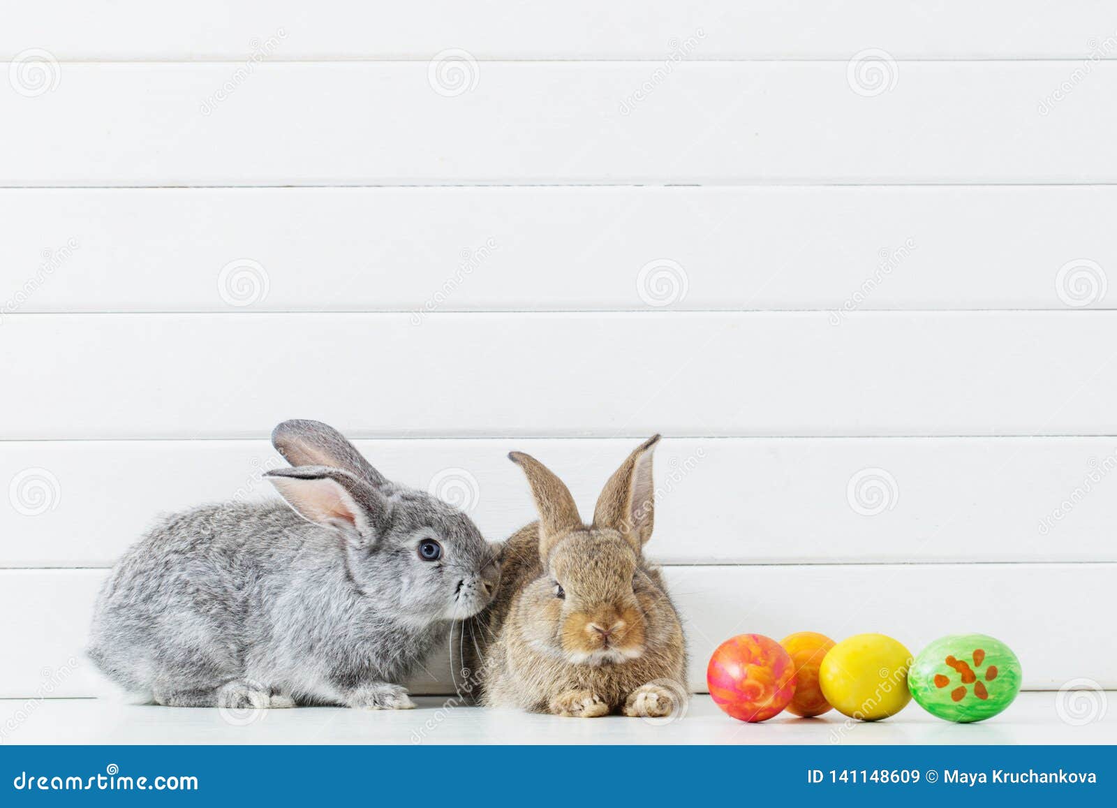 Easter Bunny with Eggs on White Background Stock Image - Image of baby ...