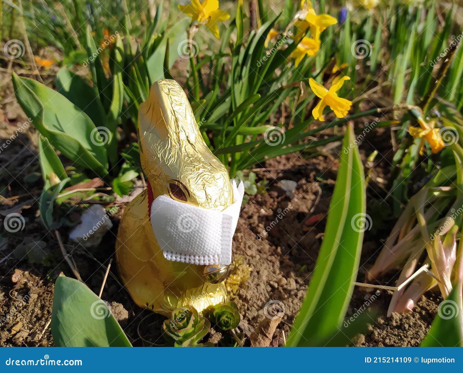 Easter Bunny with Face Mask. Easter Bunny Wearing a Face Mask ...