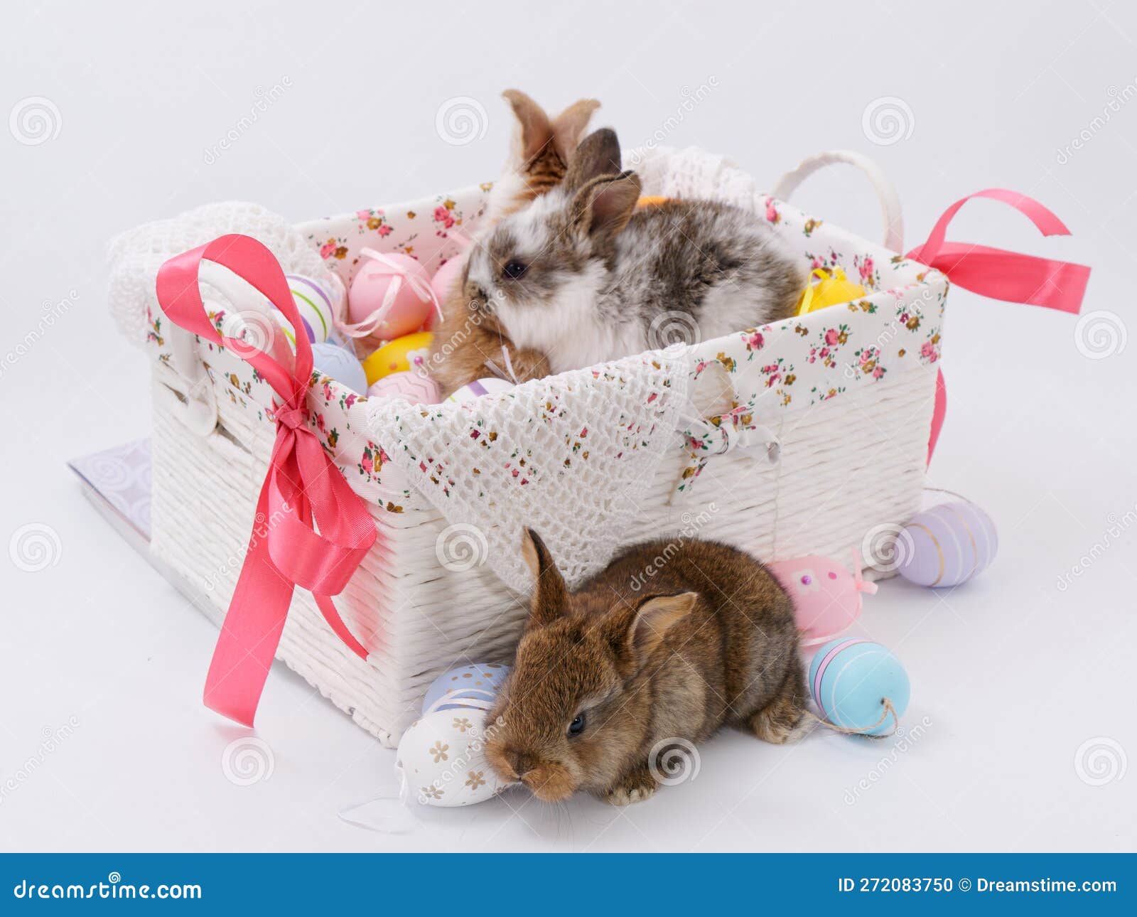 Easter Bunny in a Festive Easter Basket with Colored Eggs on a White ...