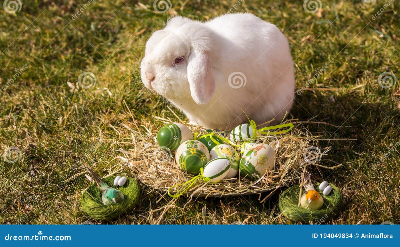 Easter bunny in the Garden stock photo. Image of animal - 194049834