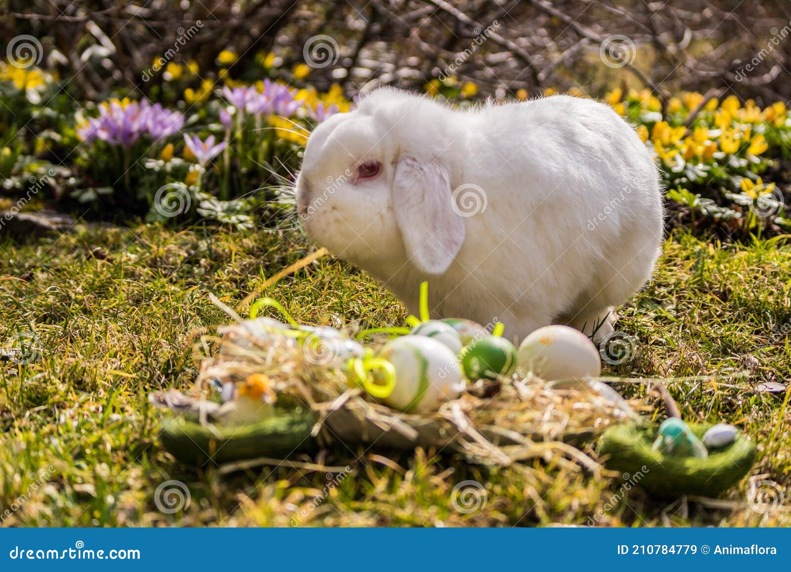 Easter bunny in the Garden stock image. Image of green - 210784779
