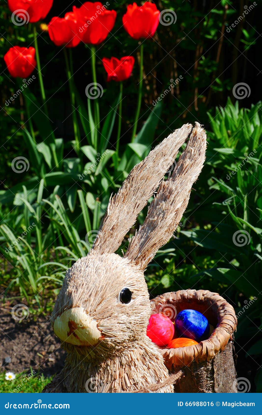 Easter bunny stock photo. Image of meadow, animal, osterhasenn - 66988016