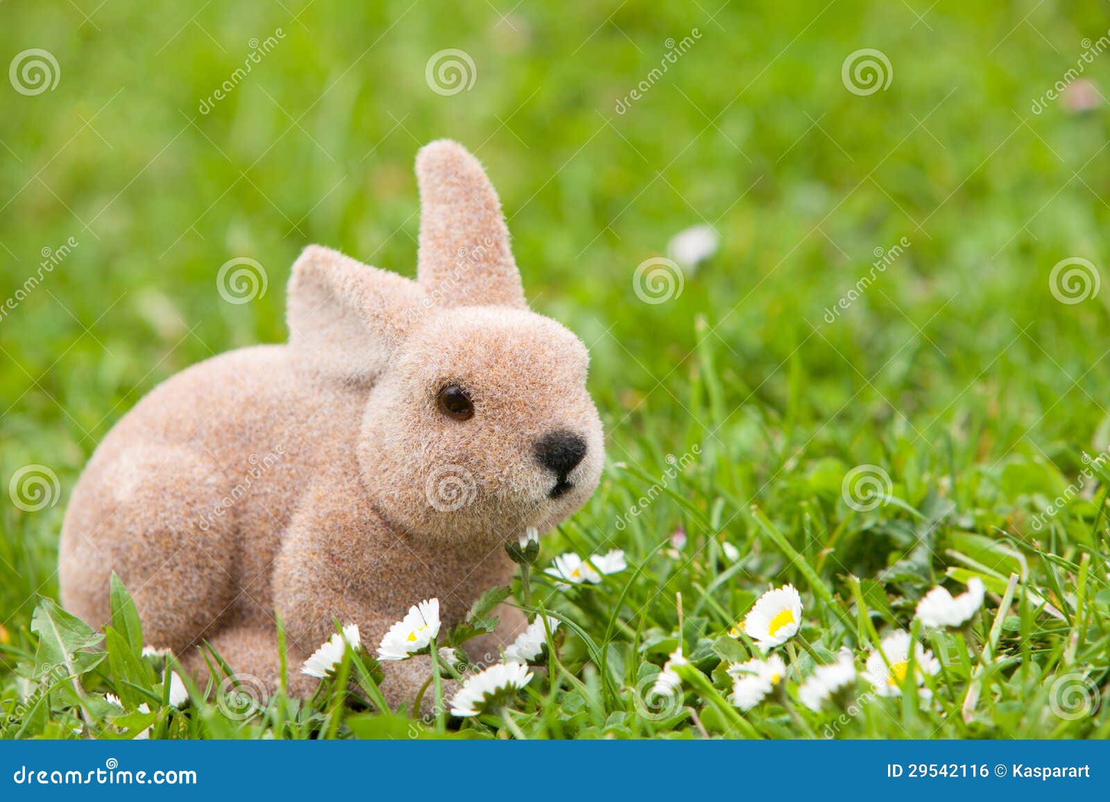 Easter Bunny in the Garden with Daisies Stock Photo - Image of closeup ...