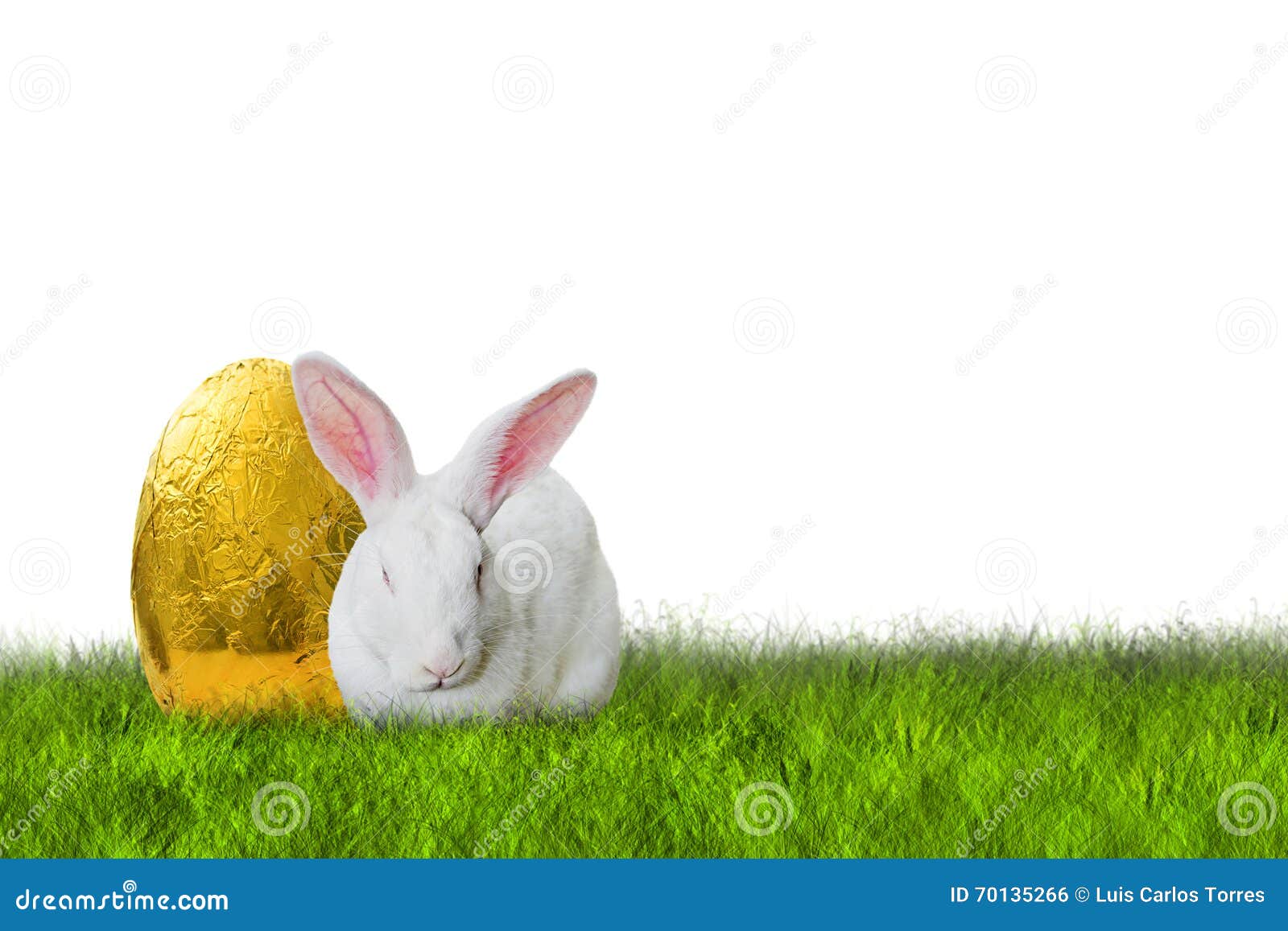 Easter Bunny and Golden Egg Stock Photo - Image of eggs, animal: 70135266