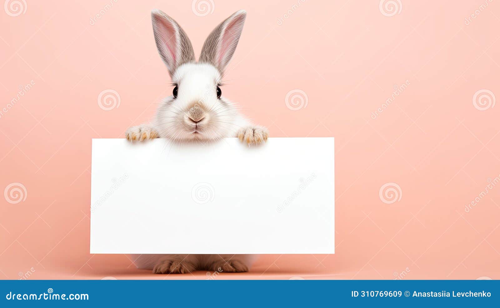 Easter Bunny Holding Empty White Board Mockup on Pastel Pink Background ...