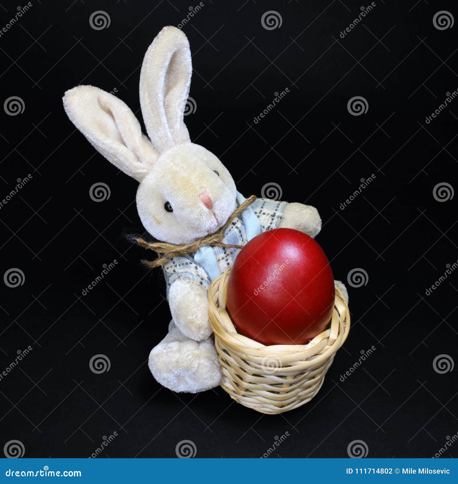 Easter Bunny and Painted Red Egg in Wooden Basket Stock Photo - Image ...