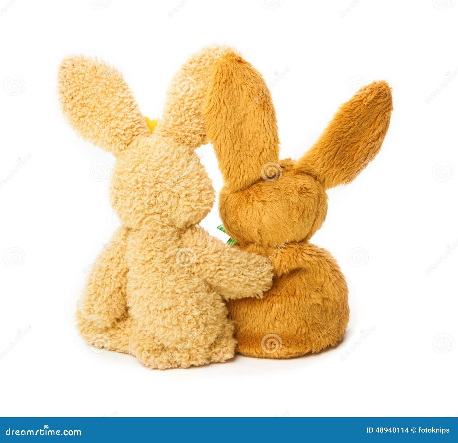 Easter Bunny, pair stock photo. Image of ears, rear, togetherness ...