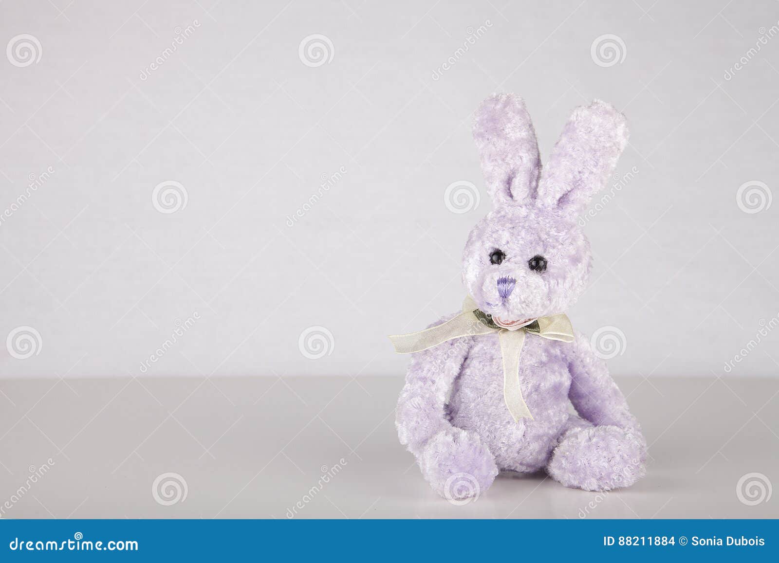 5,744 Purple Easter Bunny Stock Photos - Free & Royalty-Free Stock ...