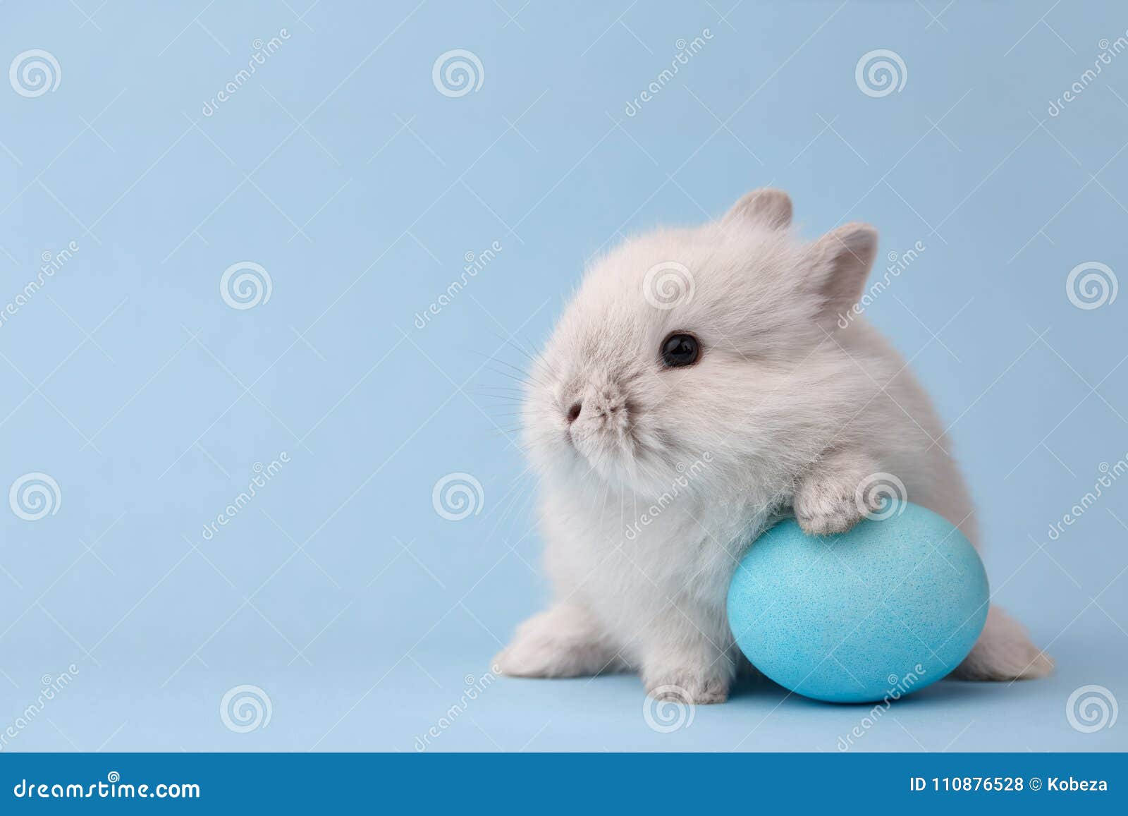 Easter Bunny with Egg on Blue Background Stock Photo - Image of bunny ...