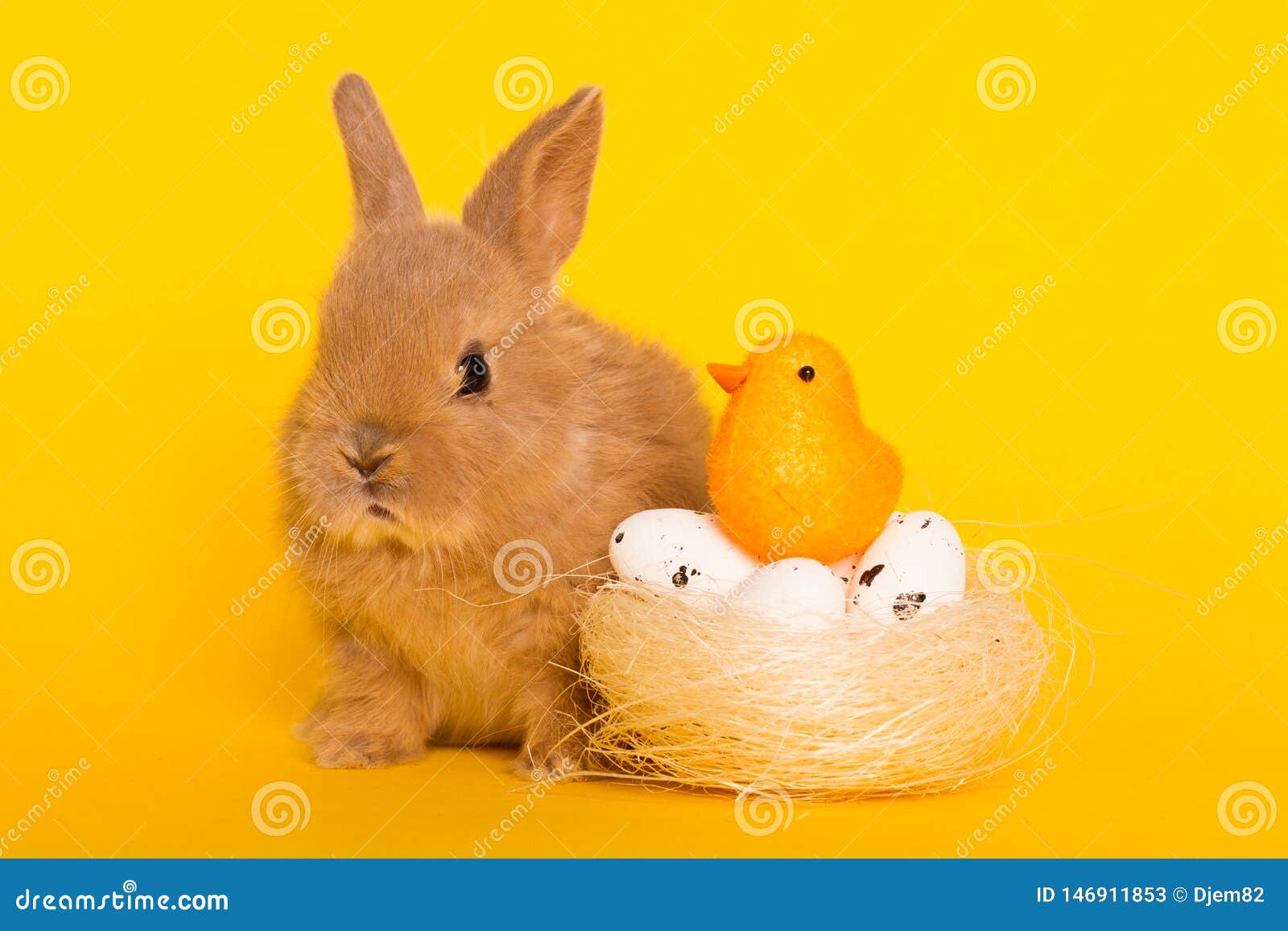 Easter Bunny Rabbit with Egg. Stock Image - Image of concept, ears ...