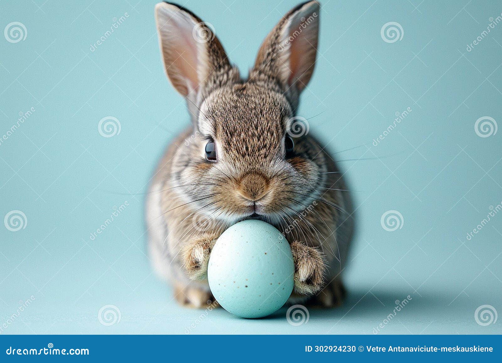 Easter Bunny Rabbit with Painted Egg on Pastel Background. Easter ...