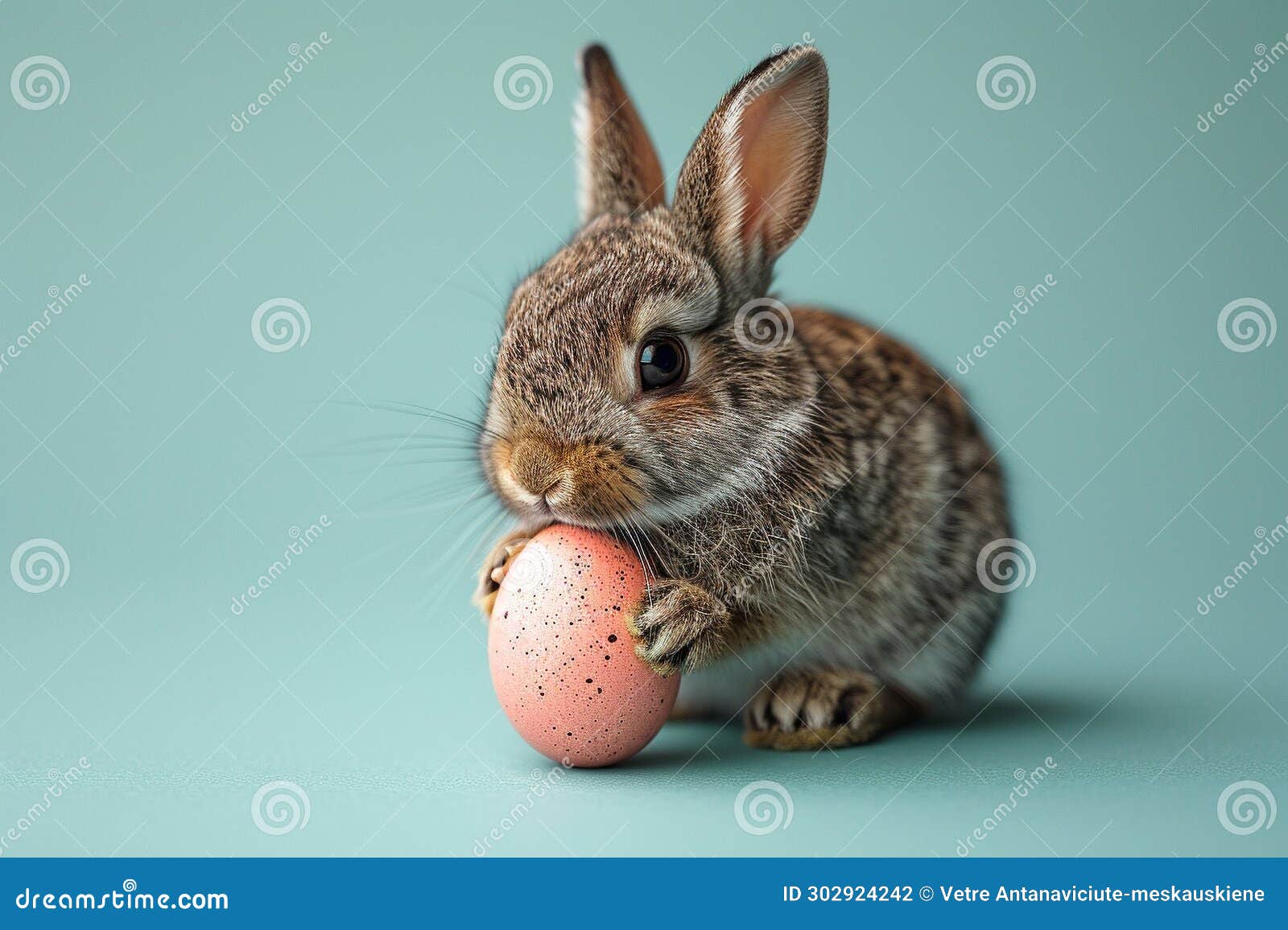 Easter Bunny Rabbit with Painted Egg on Pastel Background. Easter ...