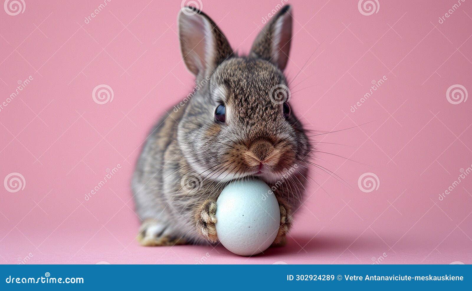 Easter Bunny Rabbit with Painted Egg on Pastel Background. Easter ...