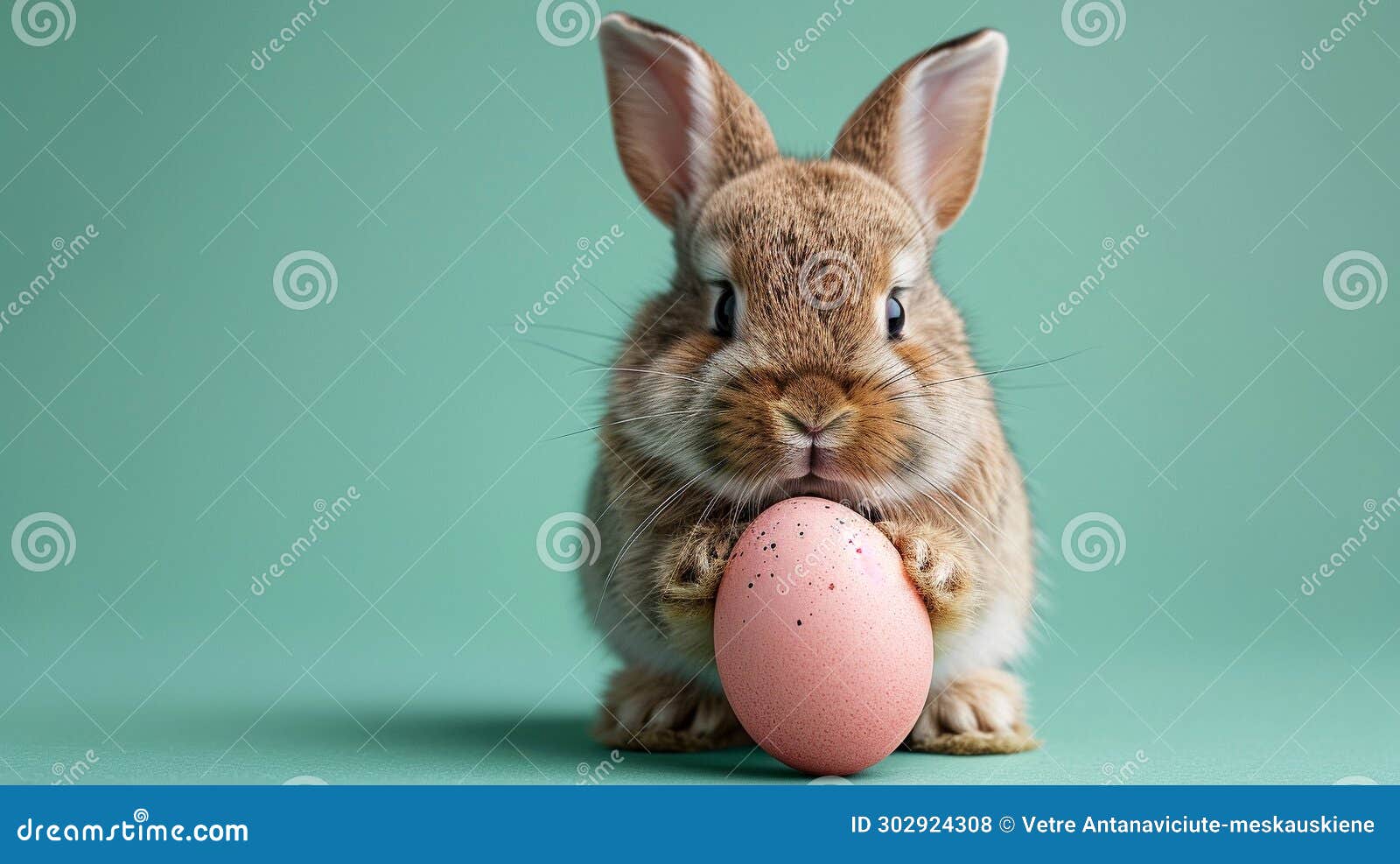 Easter Bunny Rabbit with Painted Egg on Pastel Background. Easter ...