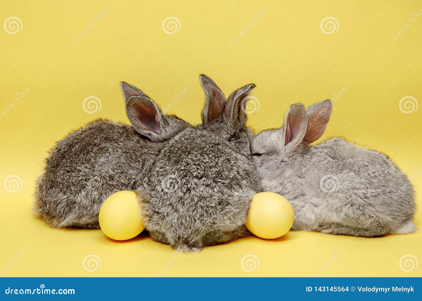 Easter Bunny Rabbits with Painted Eggs on Yellow Background. Easter ...