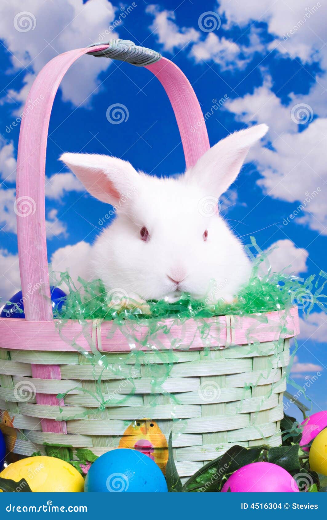 Easter Bunny Ready for the Big Day Stock Photo - Image of pink, colored ...