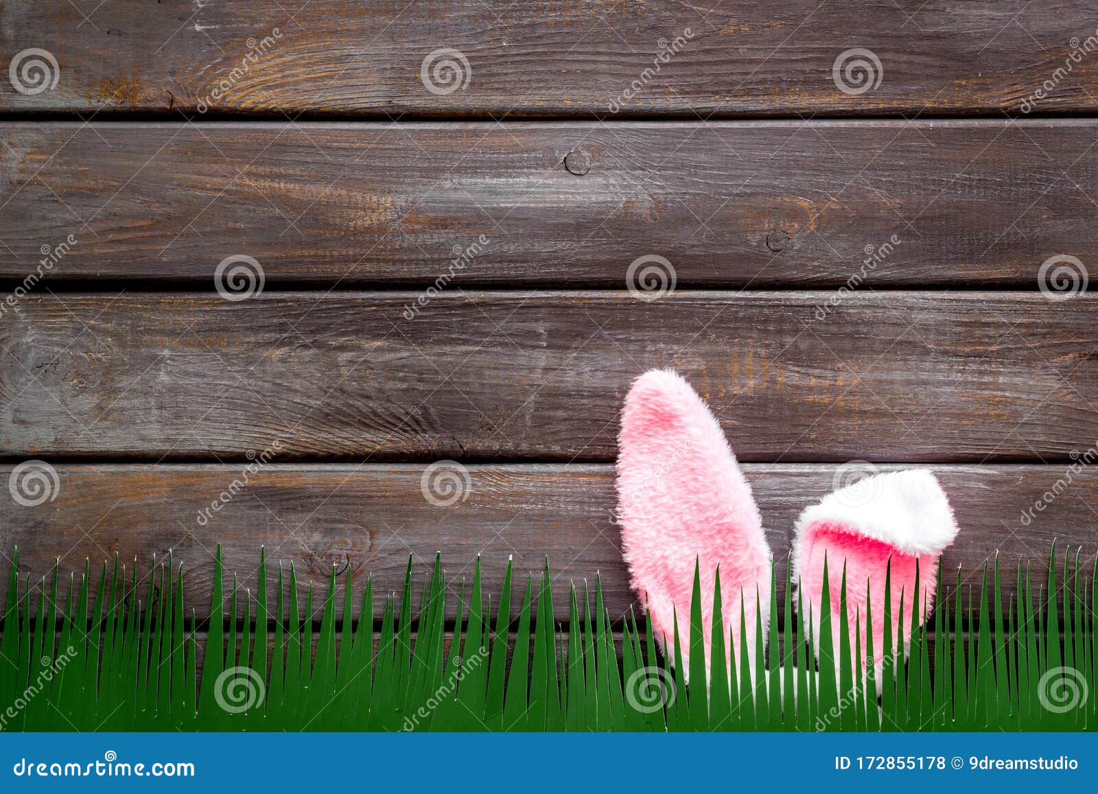 Easter Bunny`s Ears Behind Grass on Dark Wooden Background Top-down ...