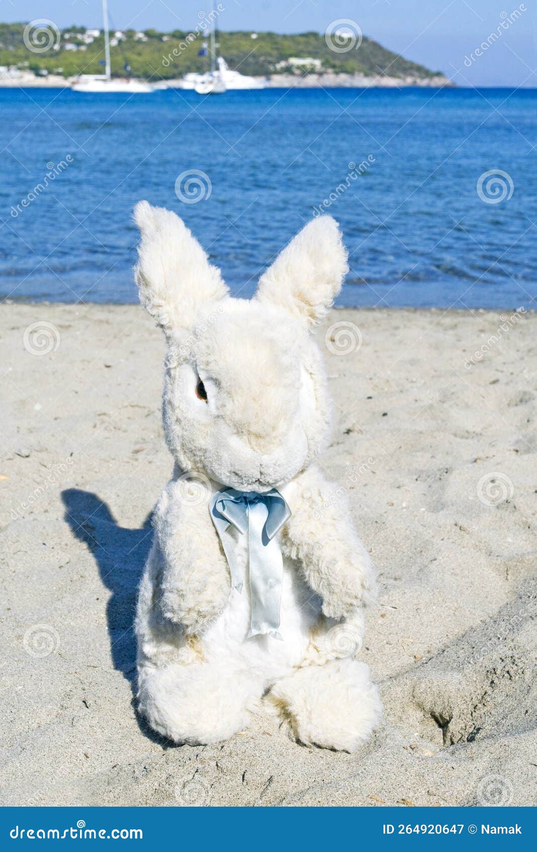 Easter Bunny on the Sea stock image. Image of horizon - 264920647