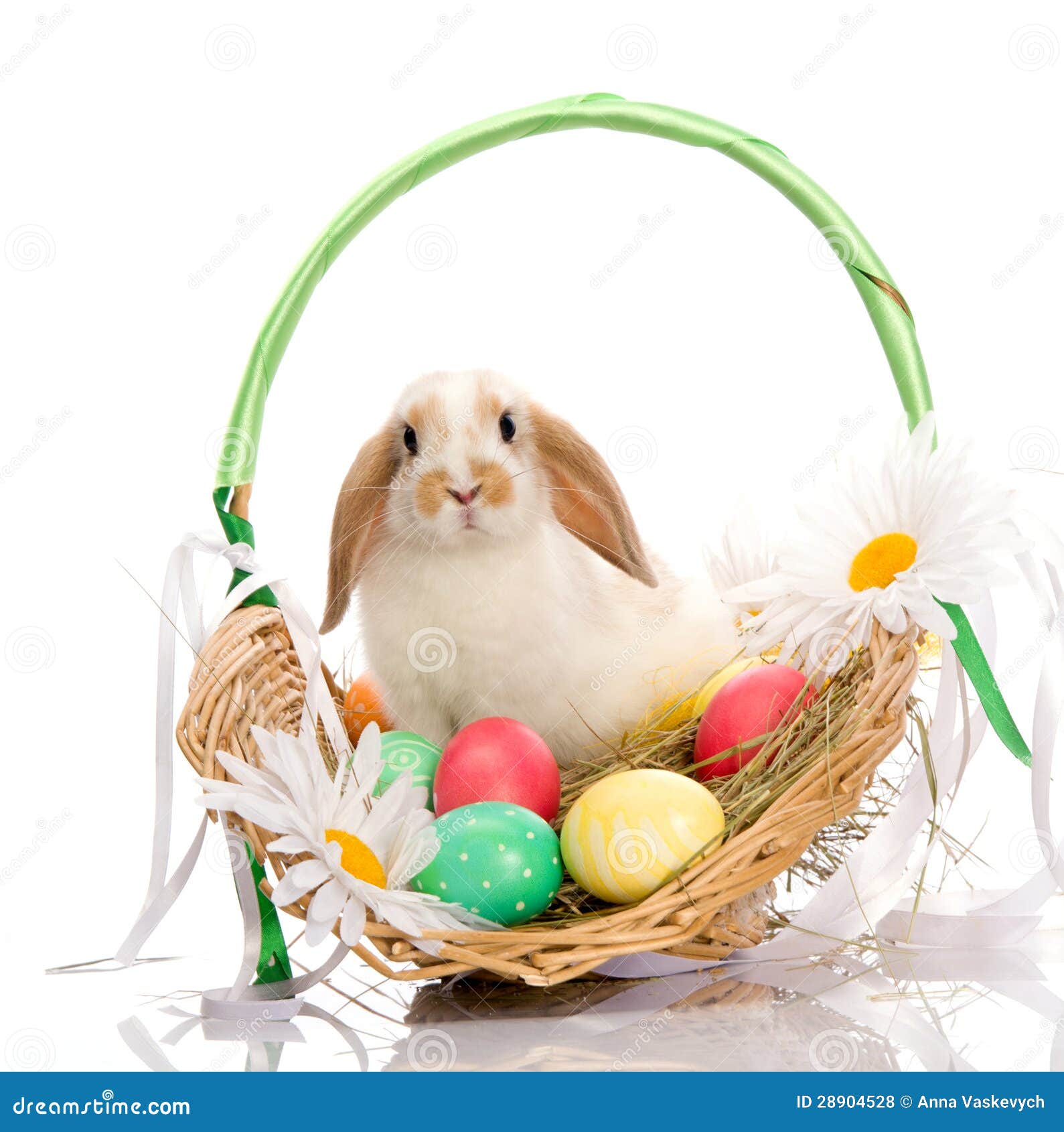 Easter Bunny Sitting in Basket Stock Photo - Image of daisy, hare: 28904528