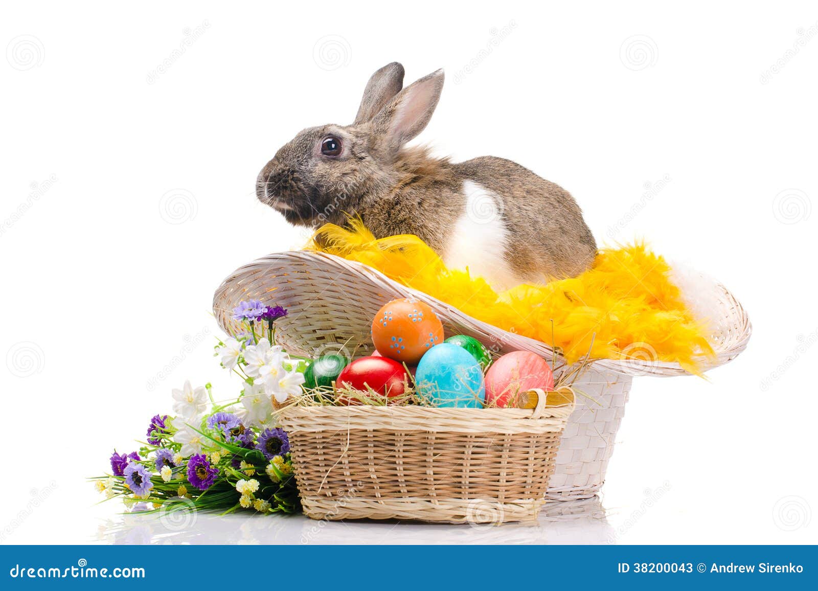 Easter Bunny Sitting in Basket Stock Image - Image of basket, fleecy ...