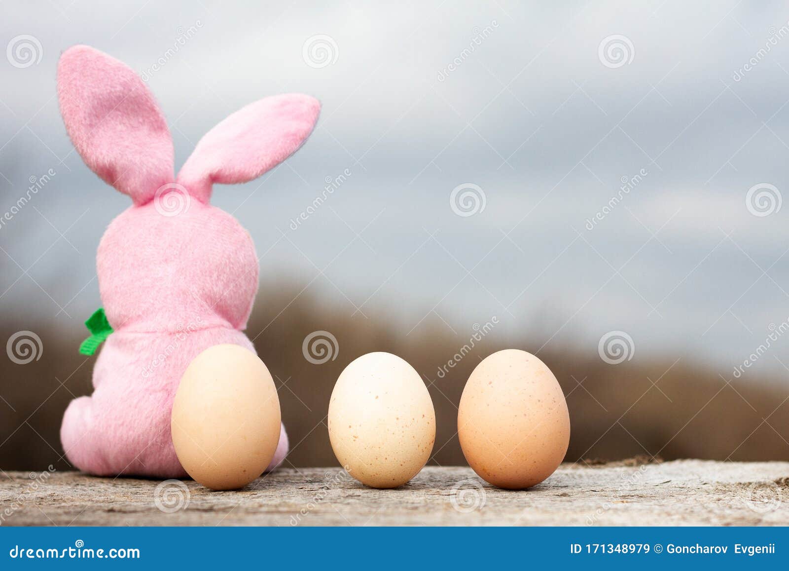 The Easter Bunny is Sitting on a Board with Eggs . Concept for the ...