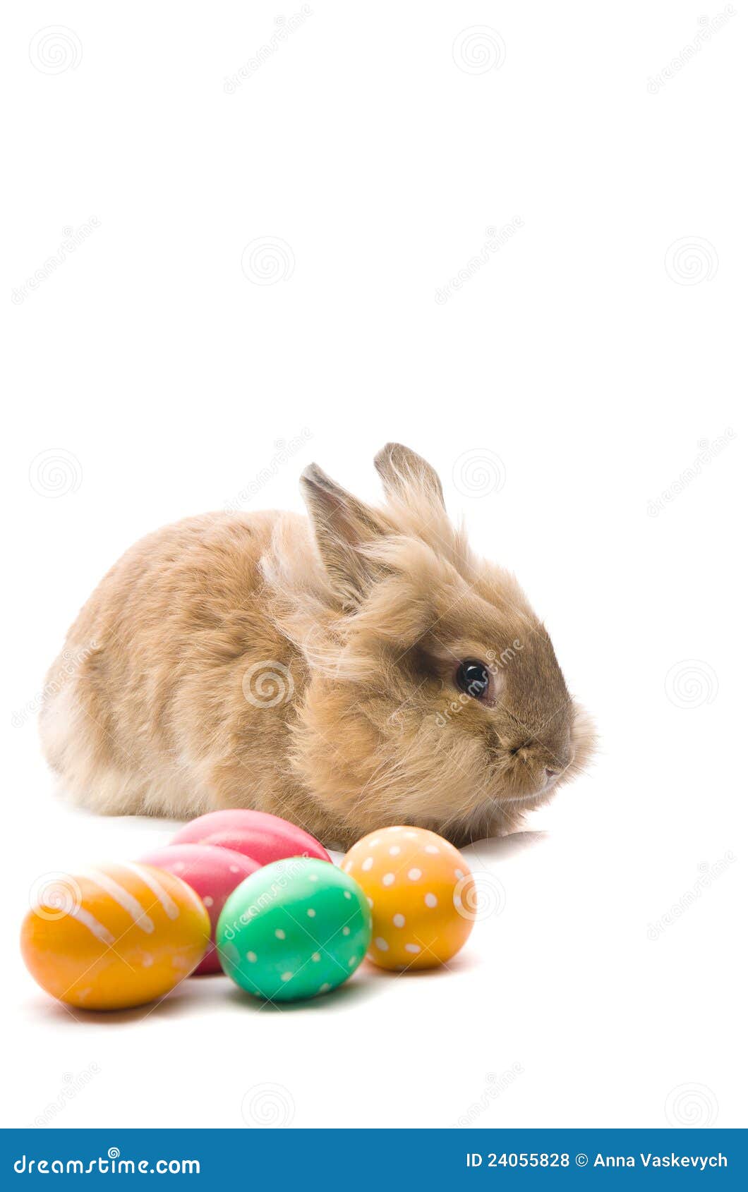 Easter Bunny is Sitting Near the Colorful Eggs Stock Photo - Image of ...