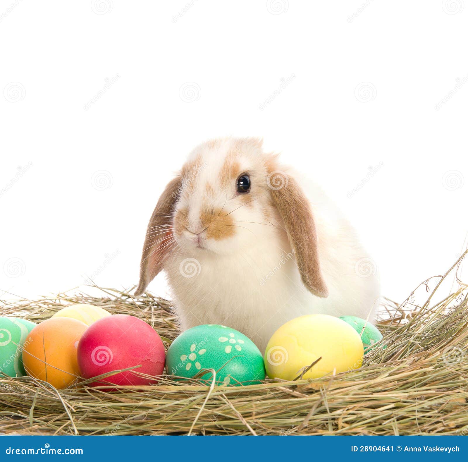 Easter Bunny is Sitting Near the Colorful Eggs Stock Image - Image of ...