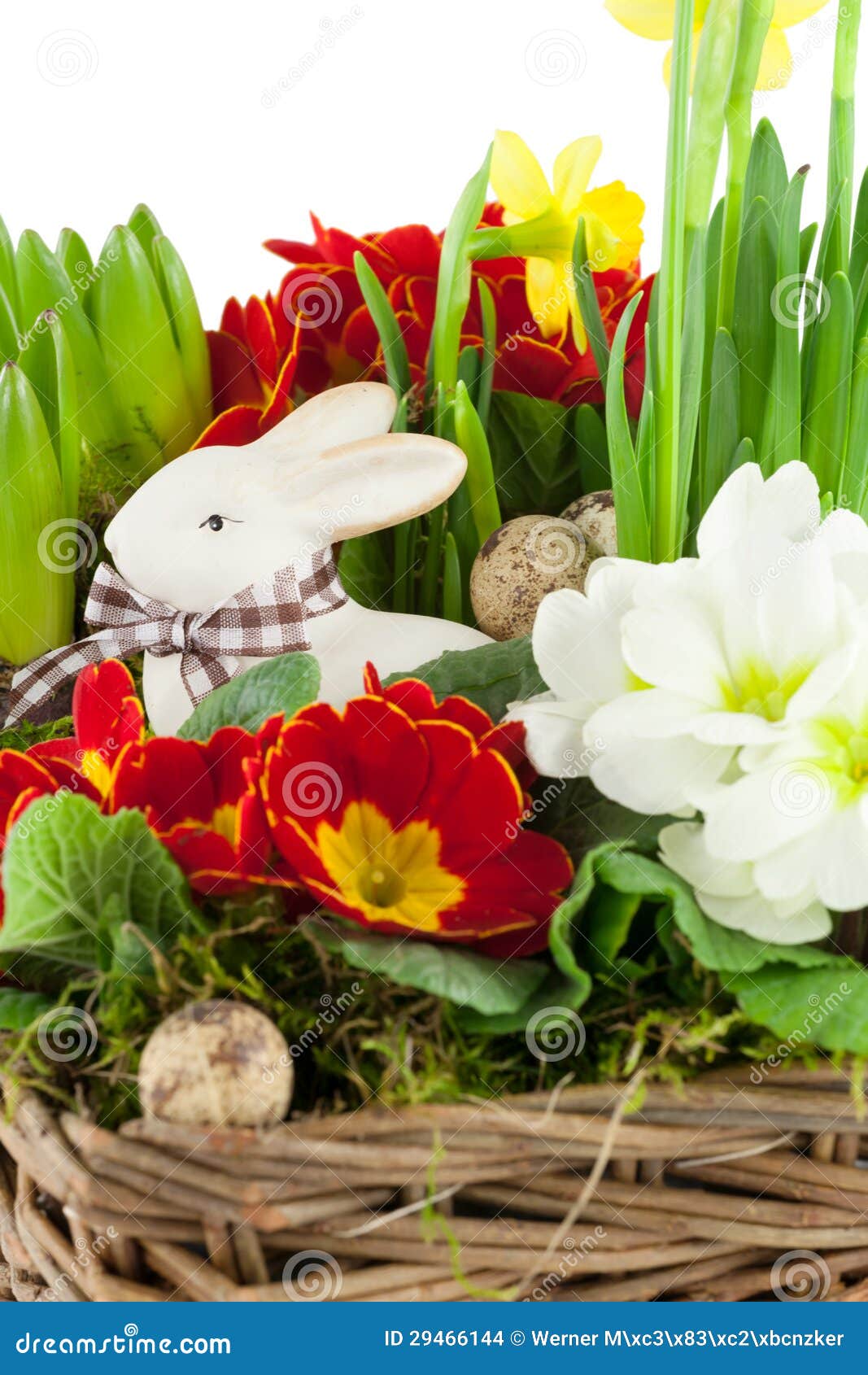 Easter Bunny with Spring Flowers Stock Photo - Image of easterbunny ...