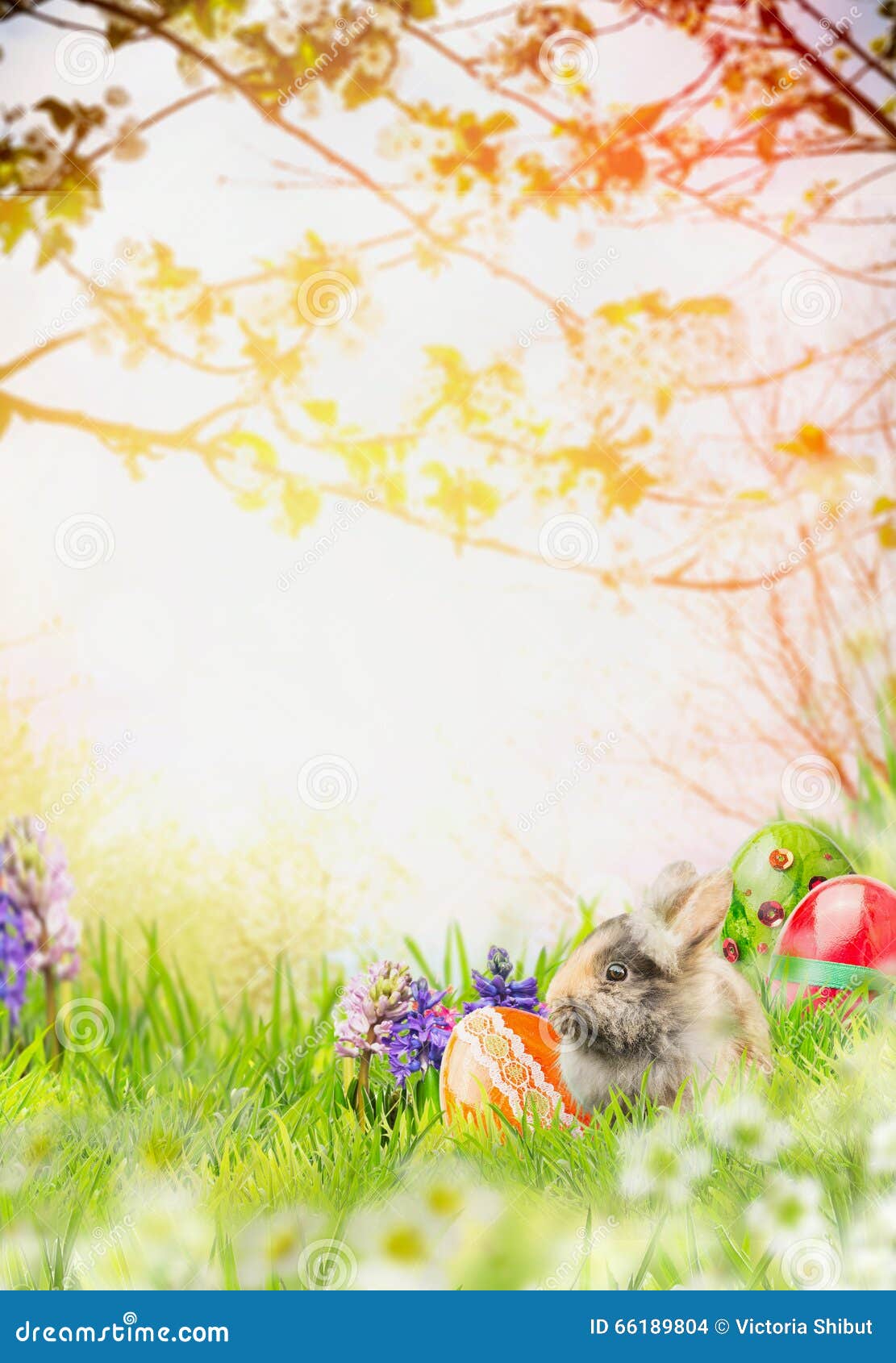 Easter Bunny with Spring Flowers and Easter Eggs in Blossom Garden ...