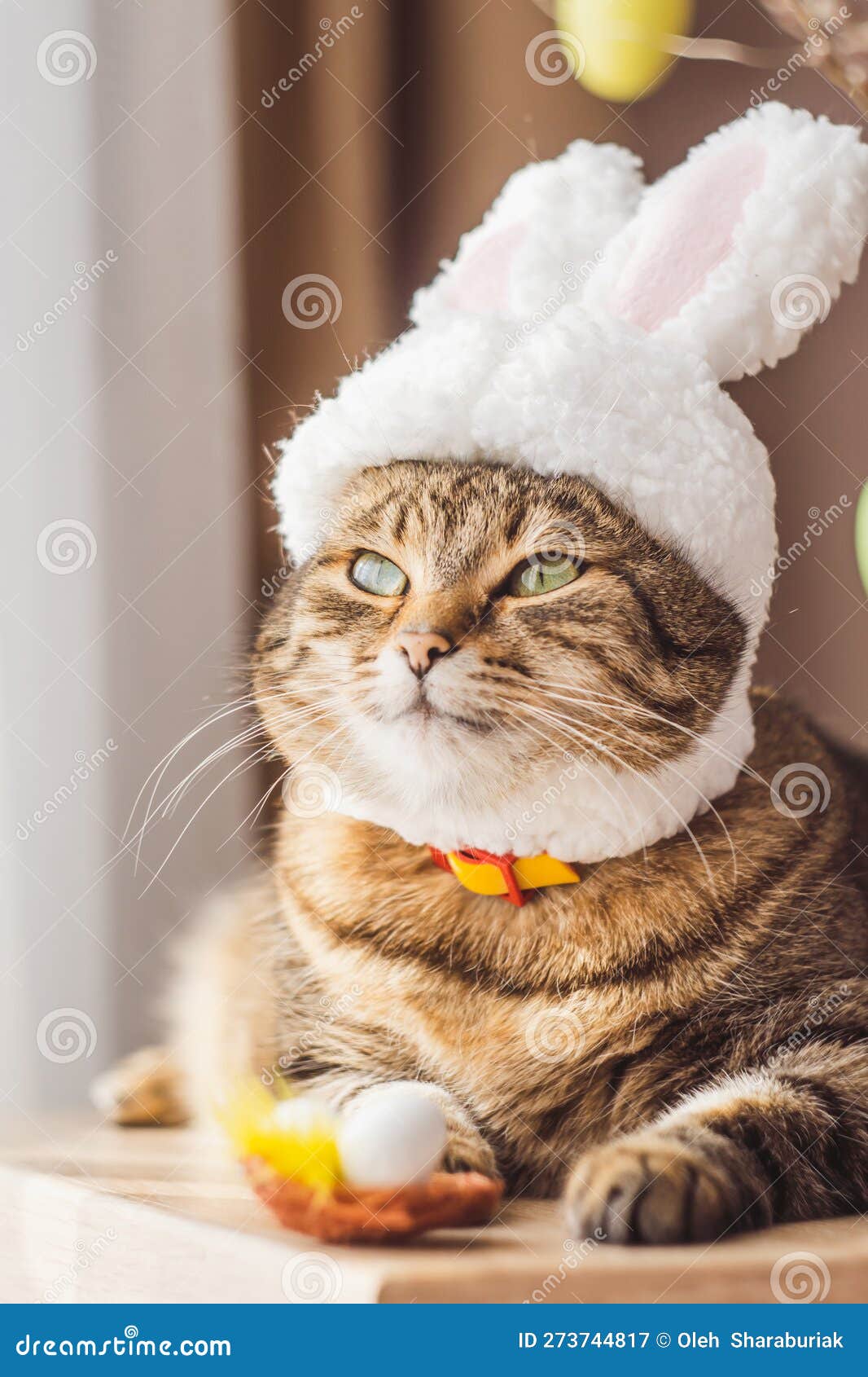 Easter Bunny. Tabby Cat in the Form of an Easter Rabbit with a Nest of ...